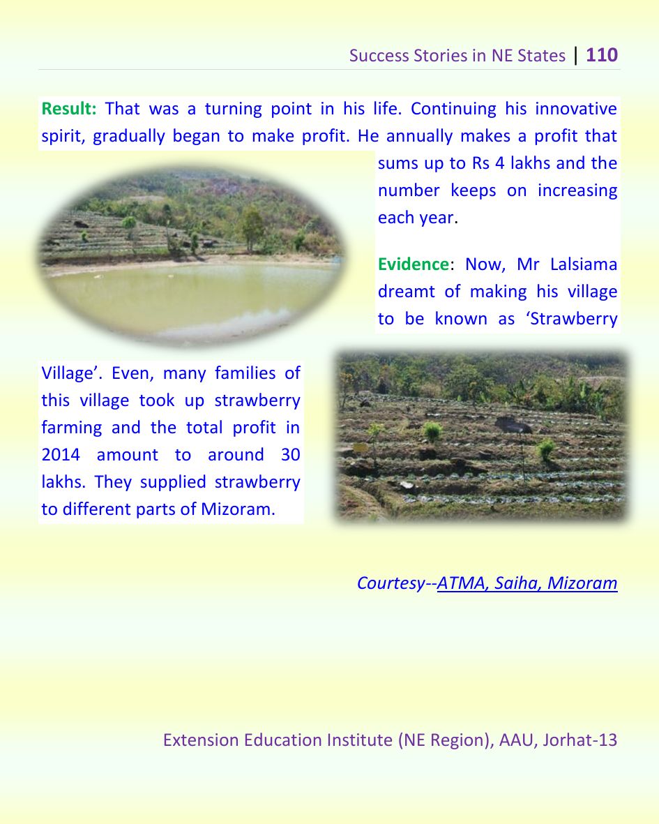 Case studies 2016 - kristi.mancha - Page 112 | Flip PDF Online | PubHTML5