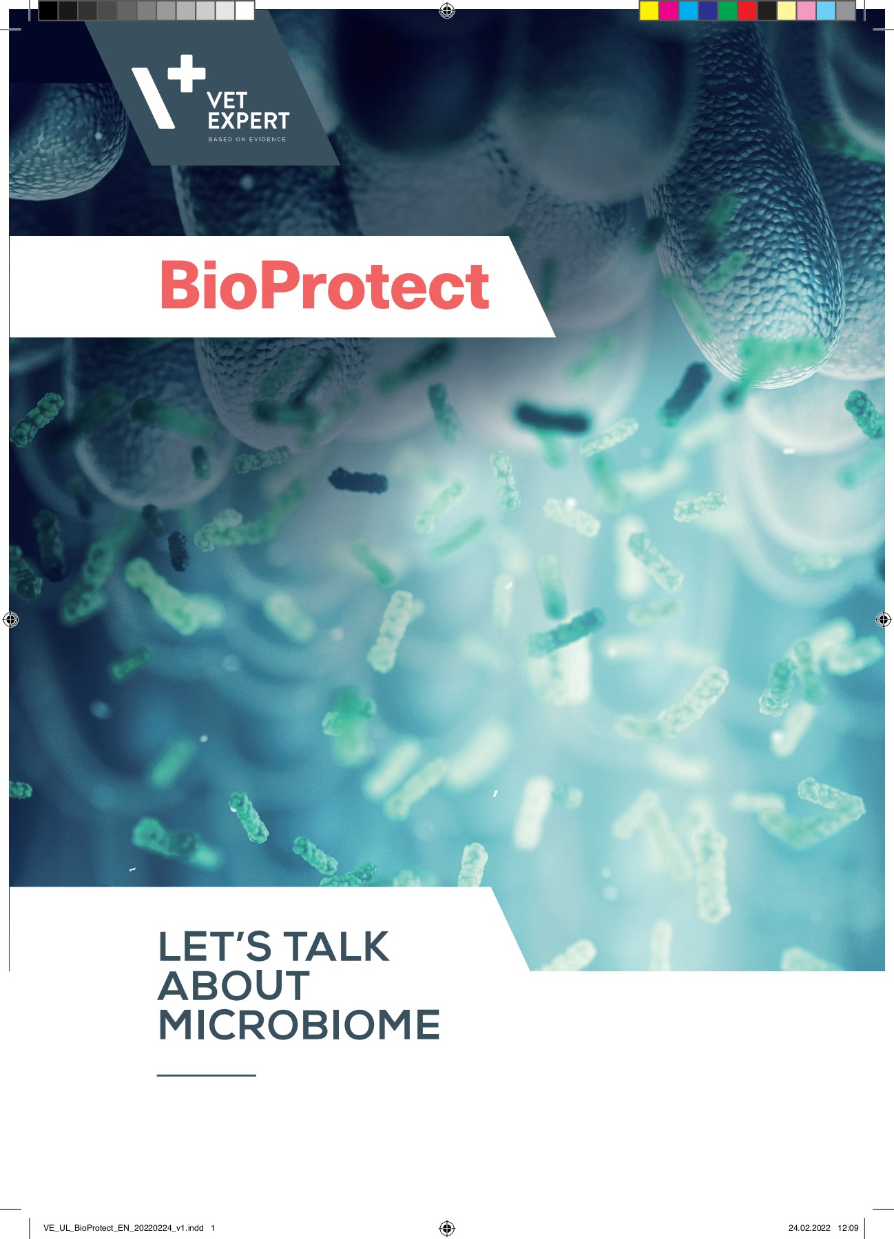 BioProtect 2022 - robertvilv - Page 1 - 8 | Flip PDF Online | PubHTML5