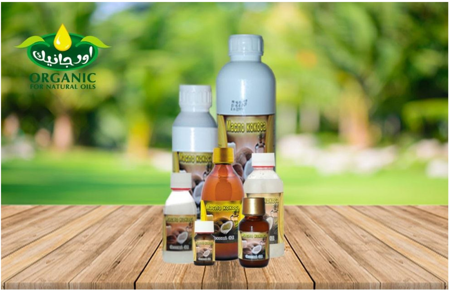 Organic Cairo Digital Catalog - fbs200806 - Page 6 | Flip PDF Online ...