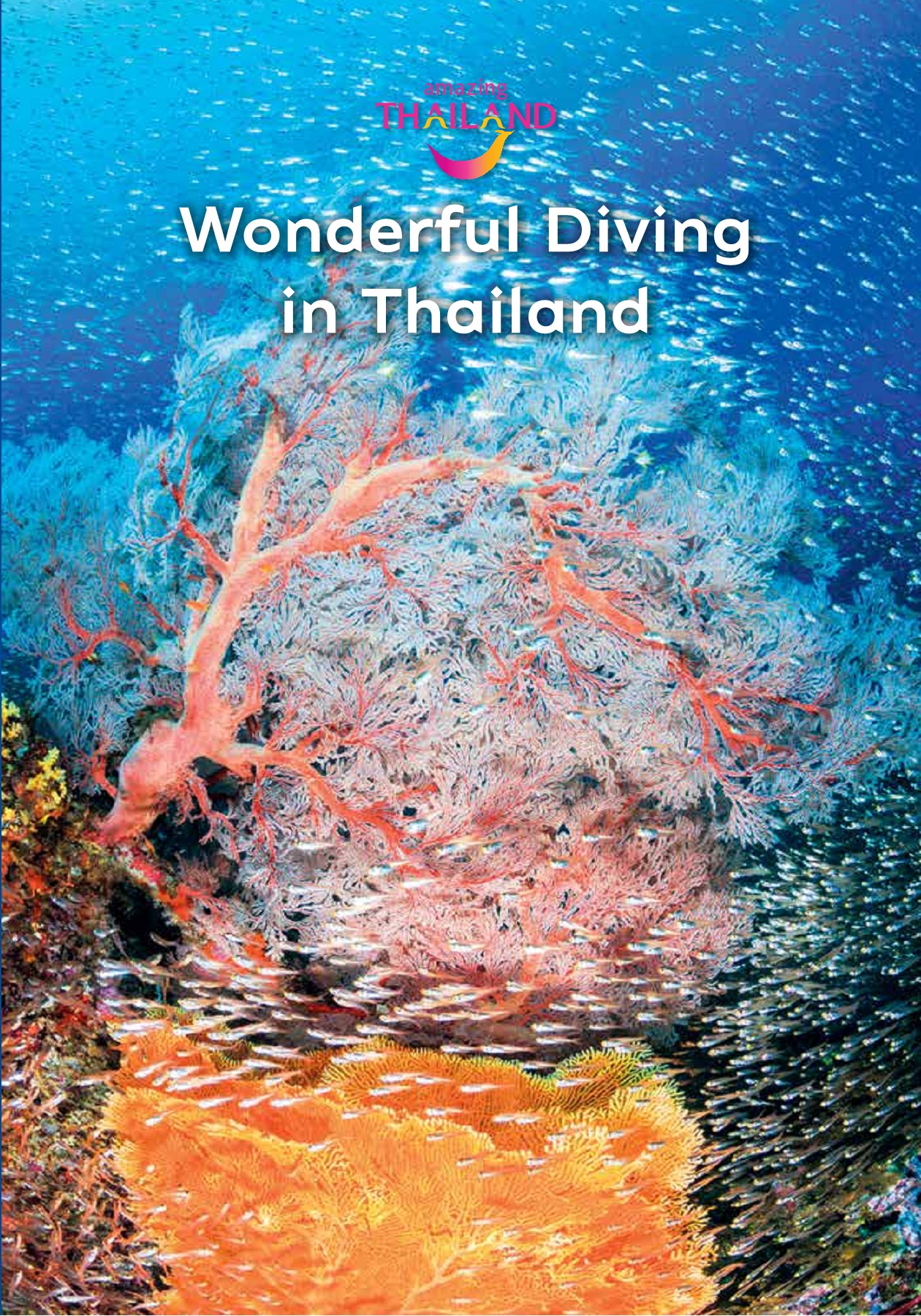 Wonderful Diving in Thailand - ห้องสมุดเฉลิมพระเกียรติ ๕๐ พรรษา อำเภอ ...
