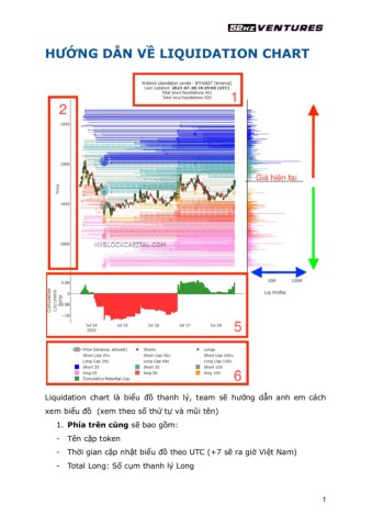 52Hz Database - Liquidation Chart