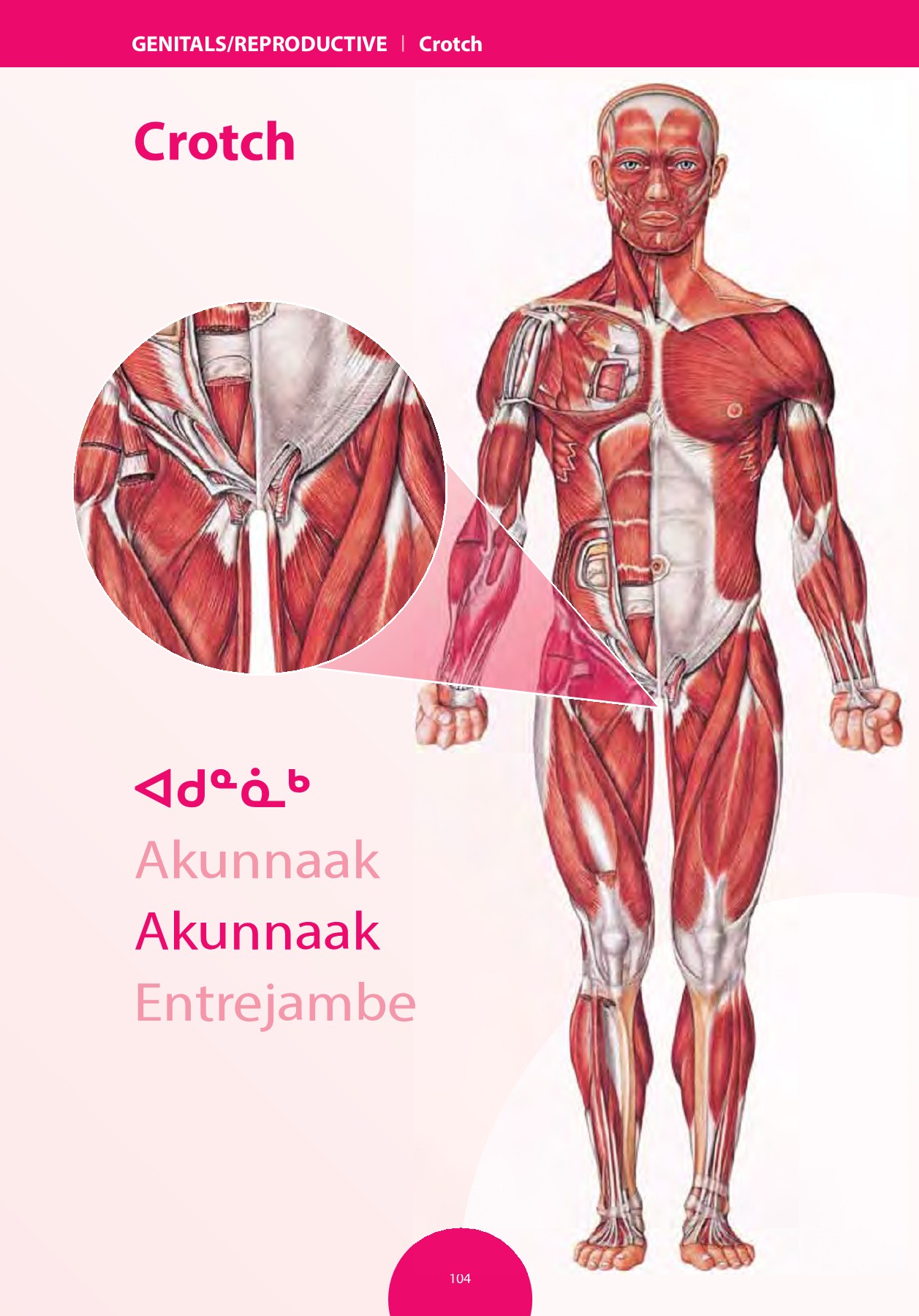 Anatomy Book - amxyour - Page 114 | Flip PDF Online | PubHTML5