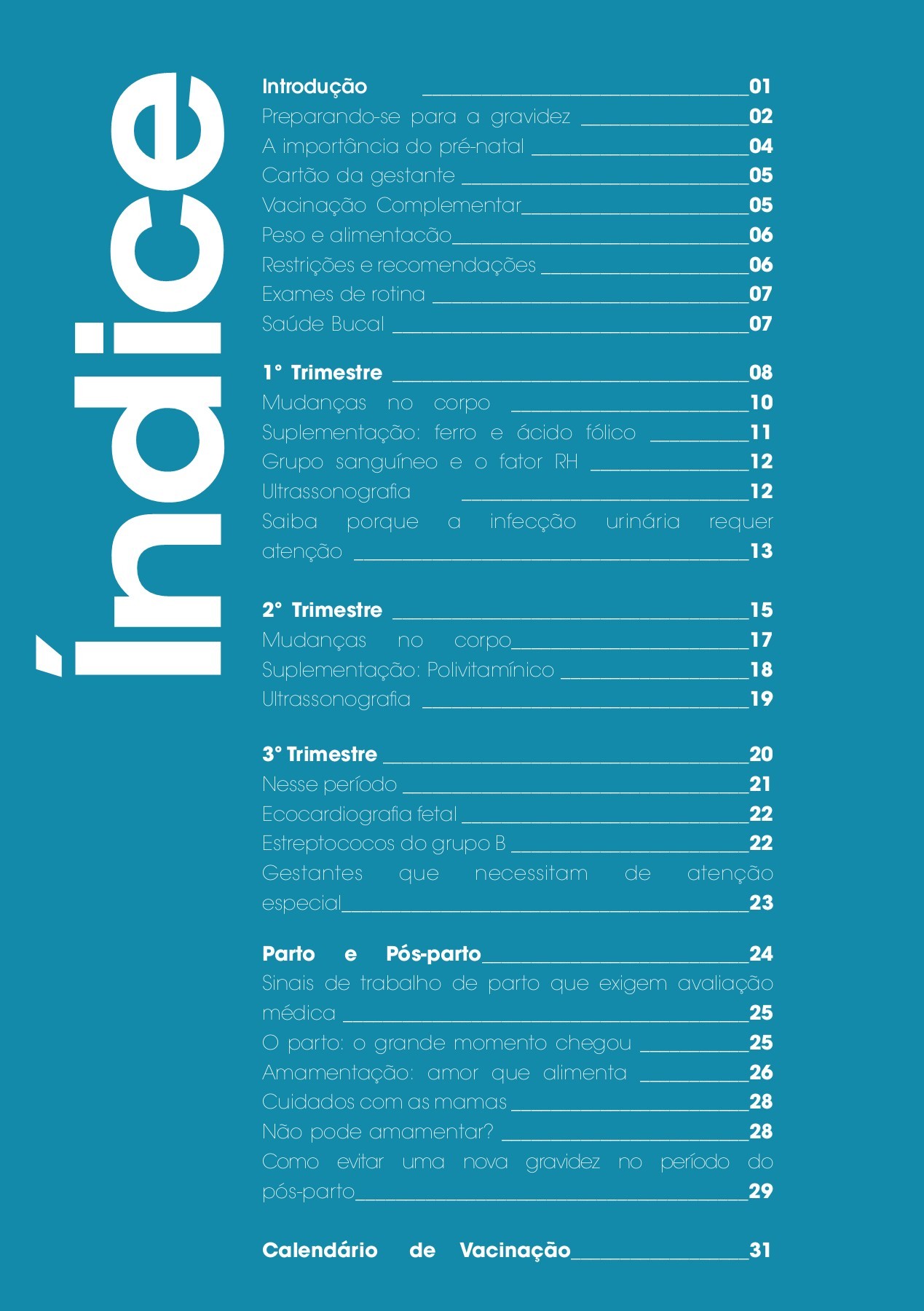 Cartilha_Gestante_THB - gabriel.couto - Página 2 | PDF Online | PubHTML5