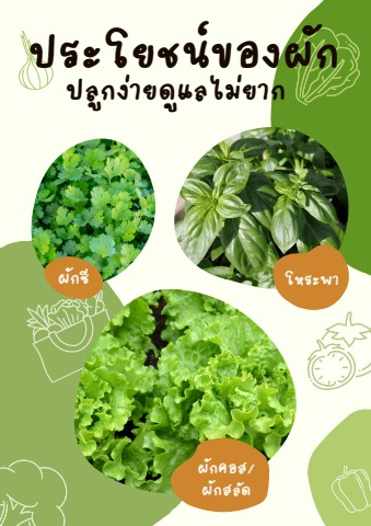 ประโยชน์ของผัก (2)