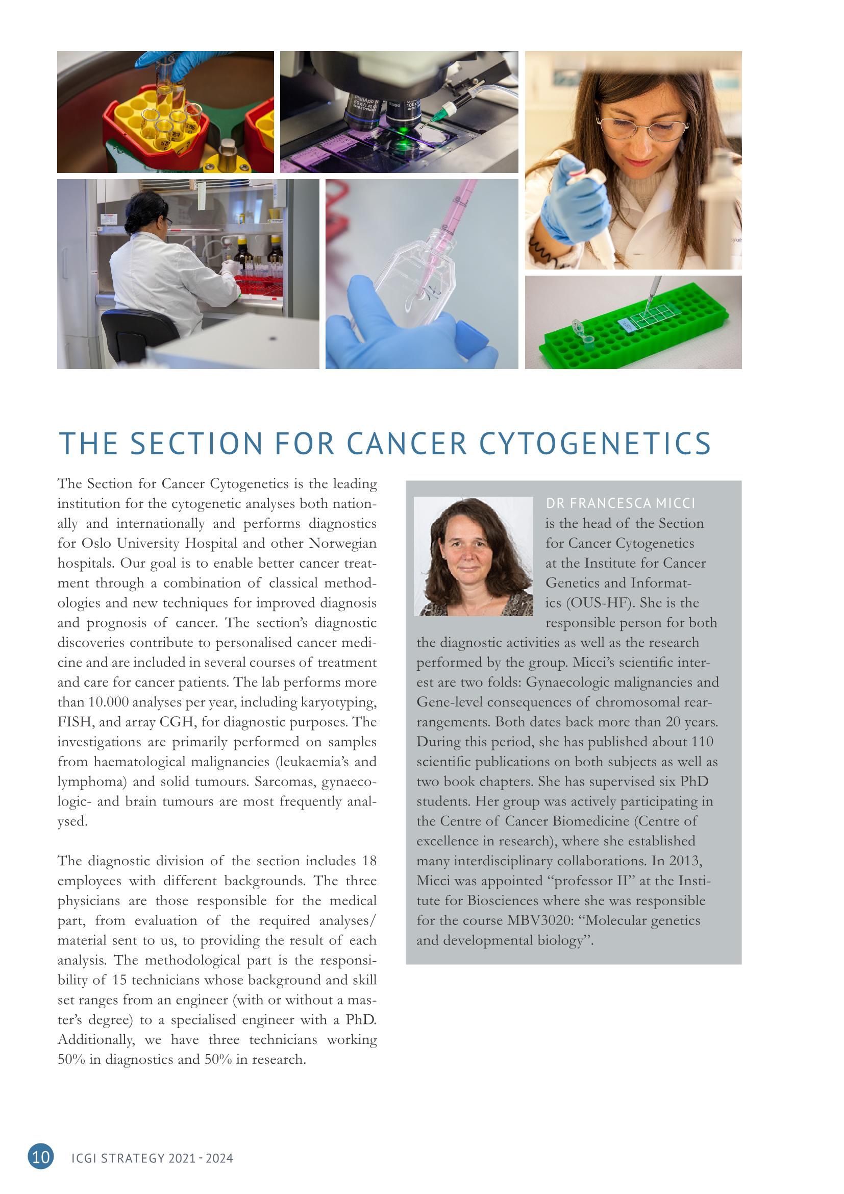 ICGI-Strategy-2021-2024 - marian - Page 12 | Flip PDF Online | PubHTML5