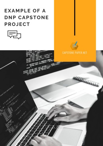 Example of DNP Capstone Project - capstonepaperinfos - Page 1 - 8 ...