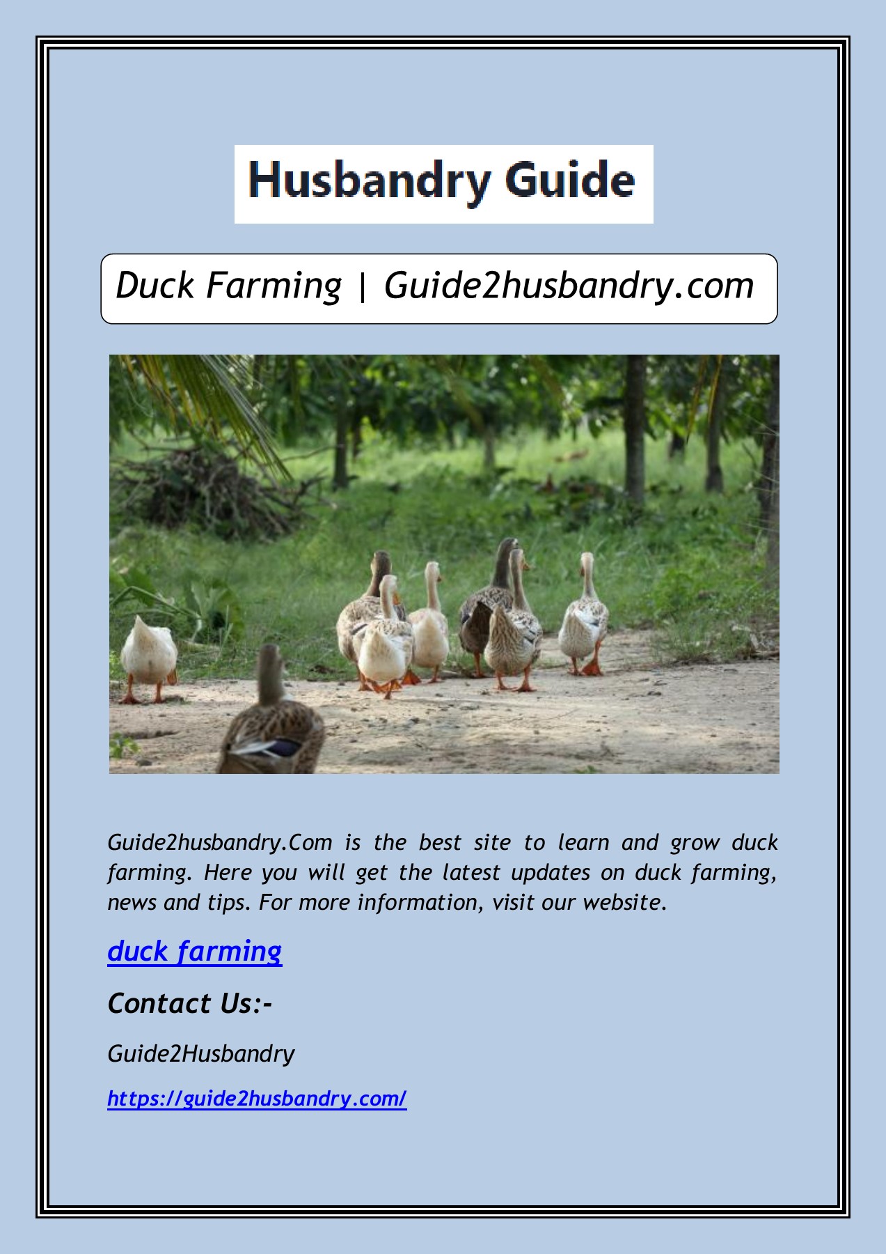 Duck Farming | Guide2husbandry.com - pokeraliya123 - Page 1 - 1 | Flip ...