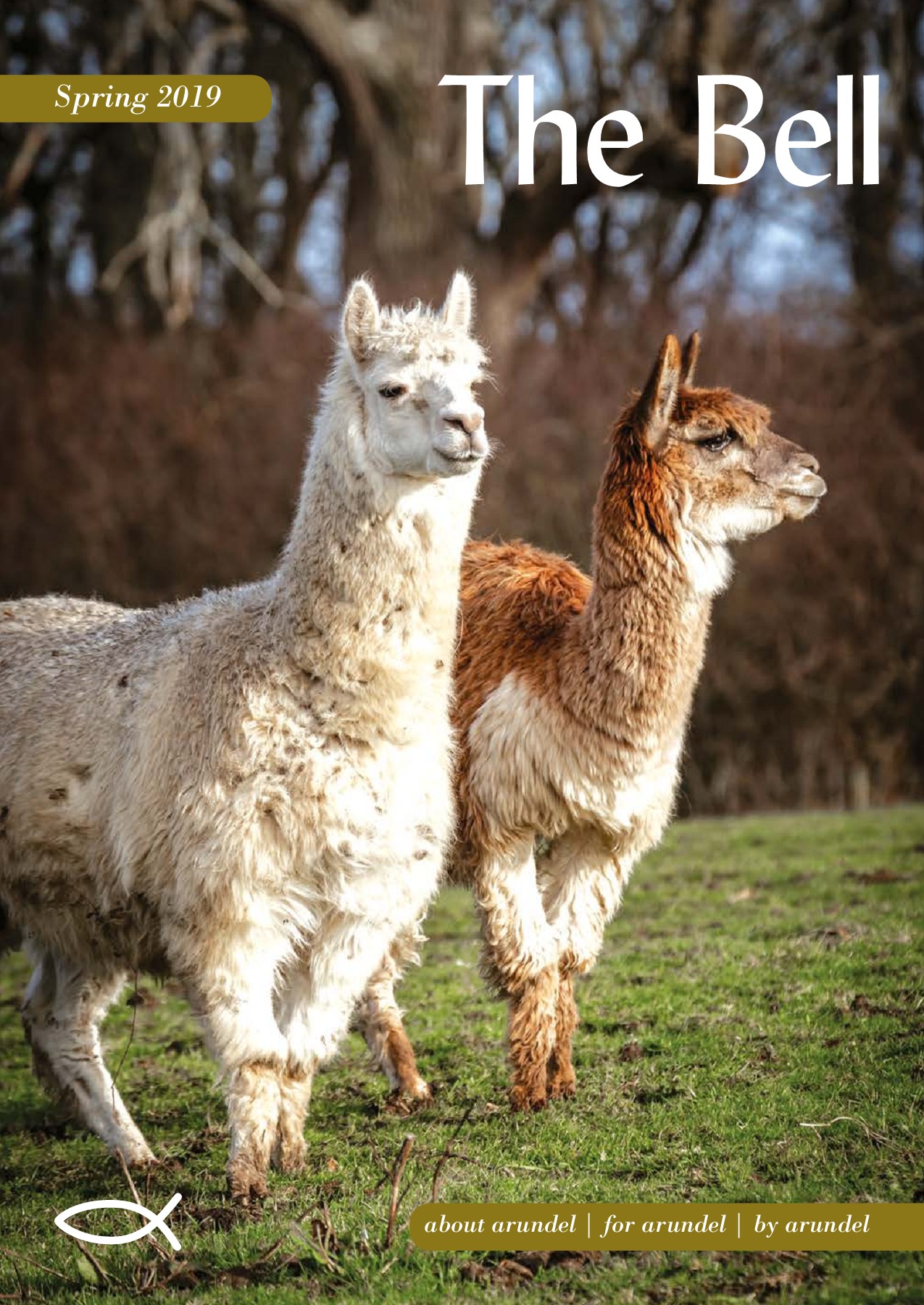 BELL SPRING 2019 web - designjas - Page 1 - 68 | Flip PDF Online | PubHTML5