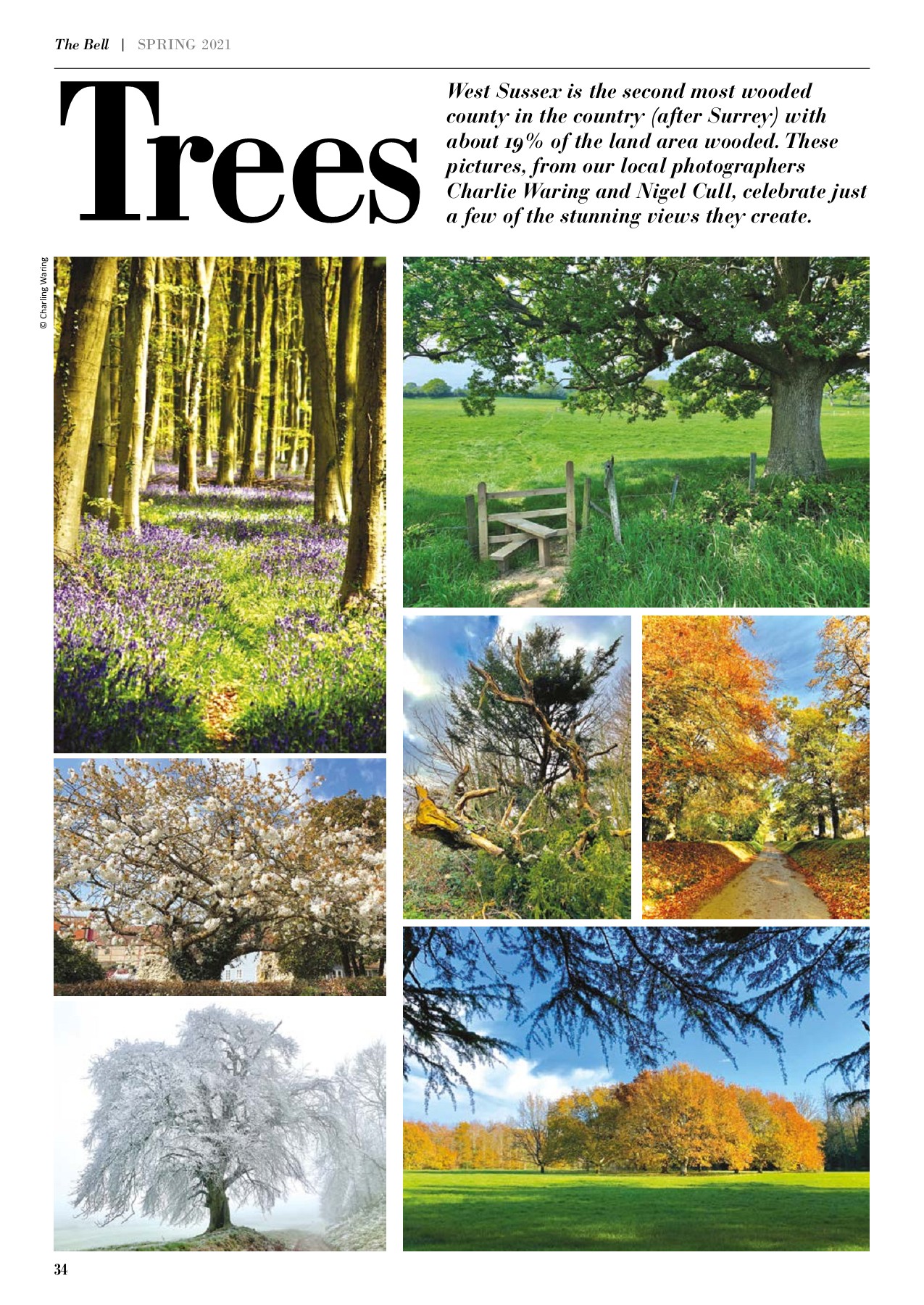 BELL SPRING 2021 web - designjas - Page 34 | Flip PDF Online | PubHTML5