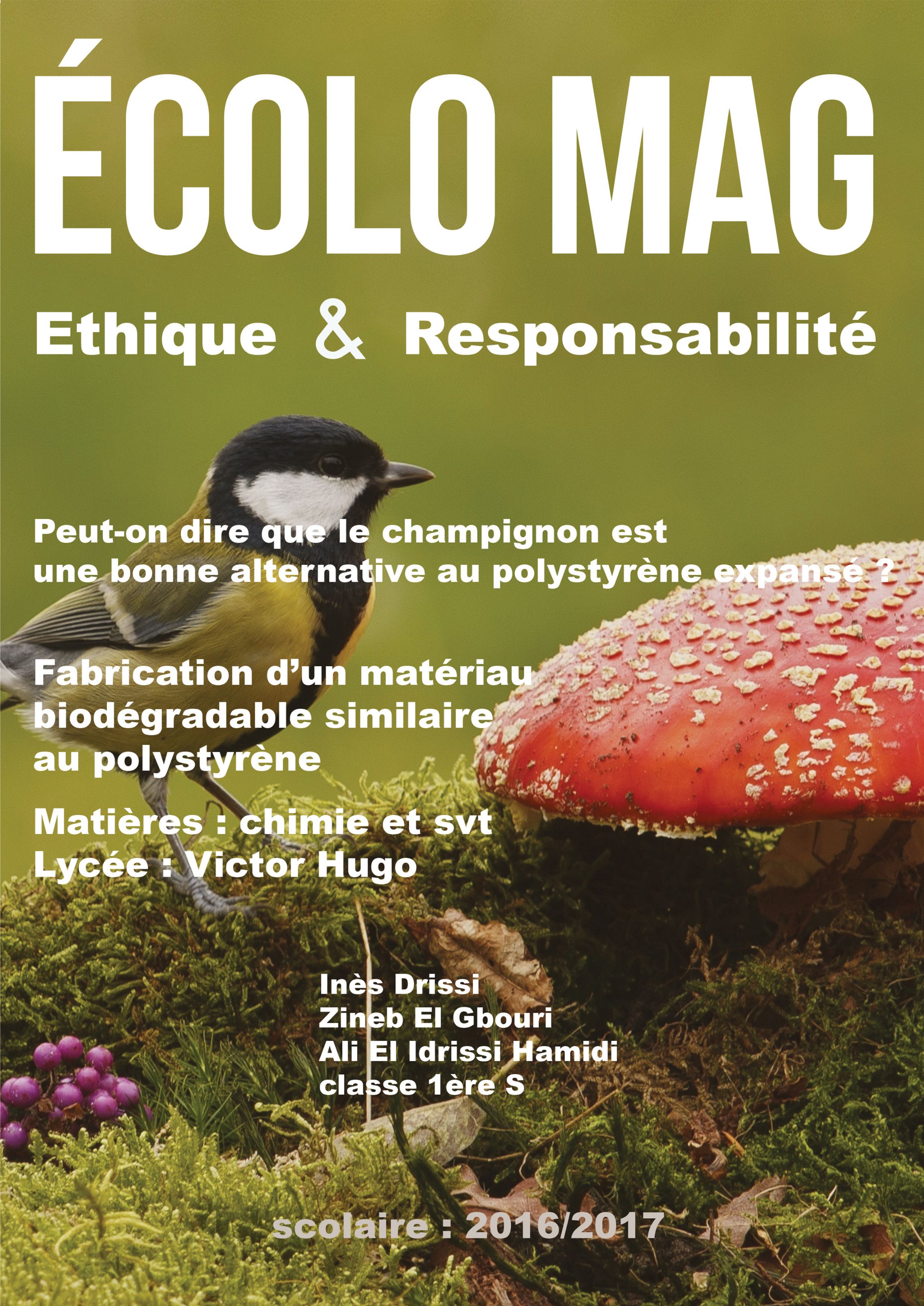 écolo mag - younessozil7 - Page 1 - 32 | PDF Feuilletable en Ligne ...