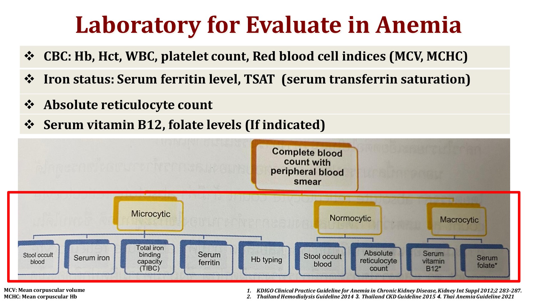 4. Handout_Anemia-Nutrition-HBV vaccine_Naowanit_24 June 2022 (1) - 1 ...