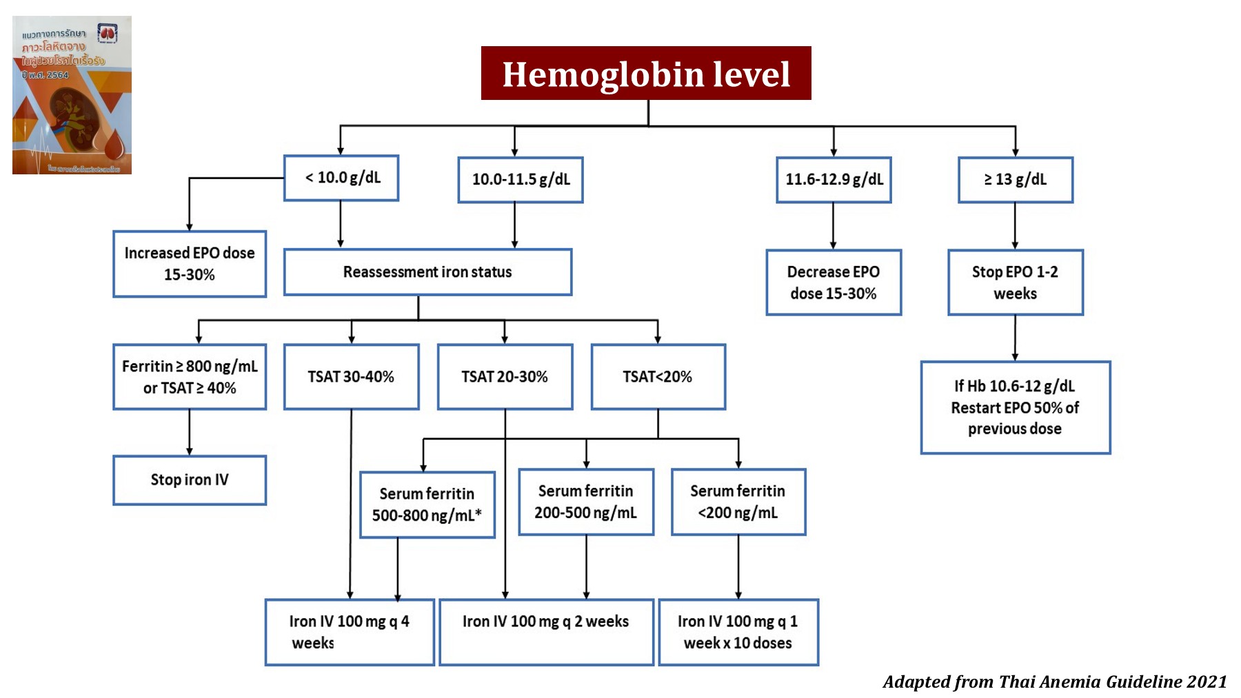 4. Handout_Anemia-Nutrition-HBV vaccine_Naowanit_24 June 2022 (1) - 1 ...