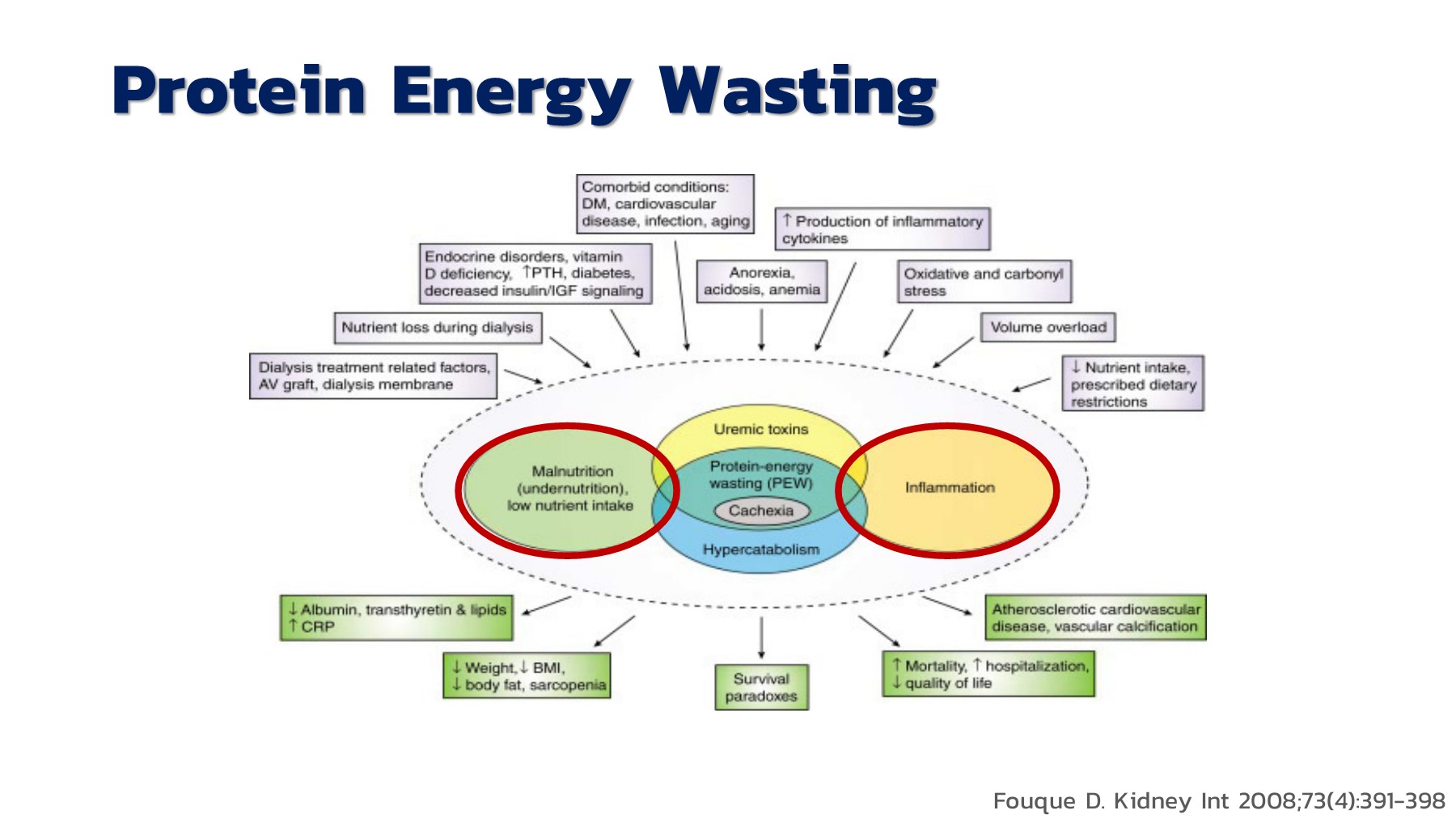 Nutrition Assessment in dialysis patients - 1.patanrad - Page 65 | Flip ...