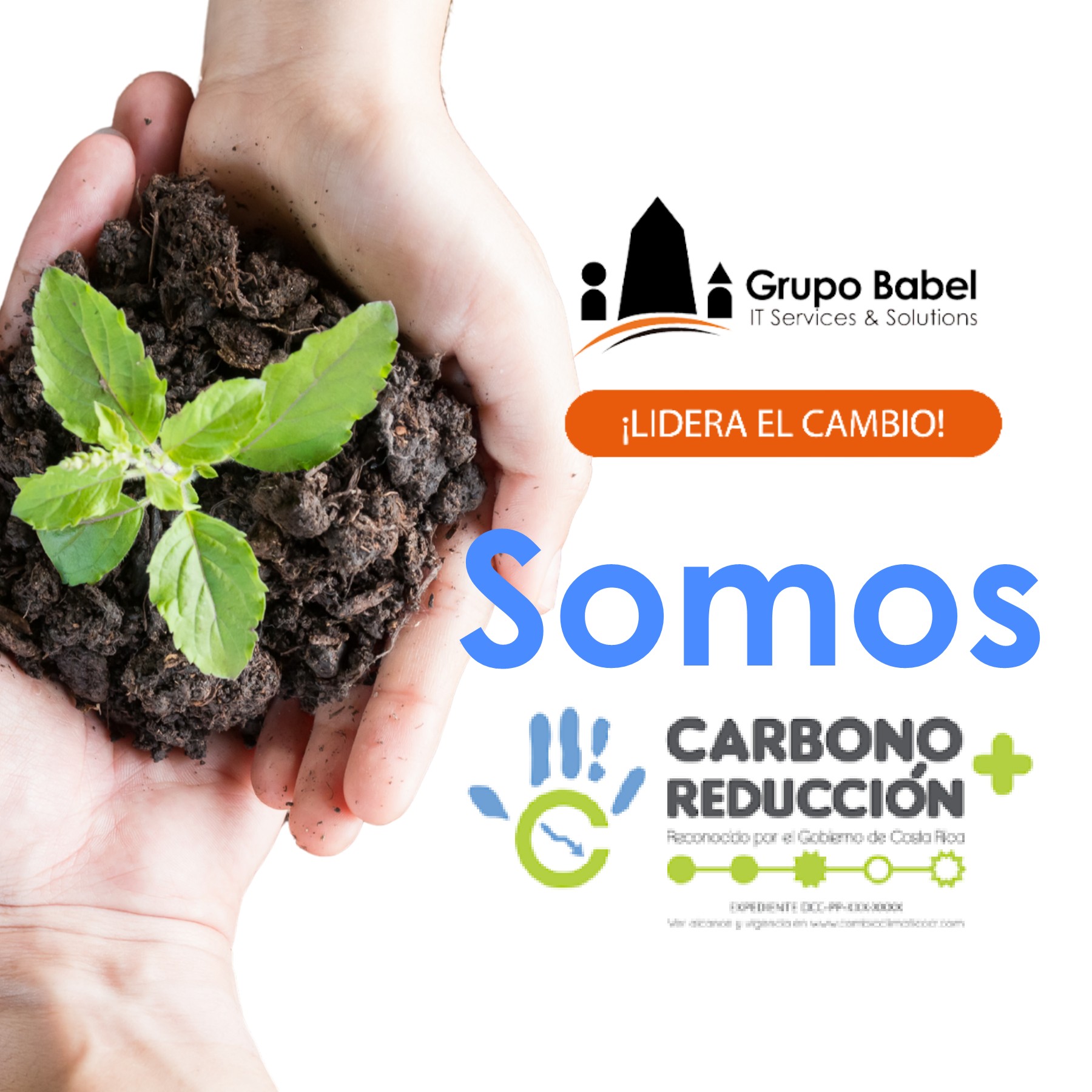 Uso de Logo Carbono Neutral Plus - Priyanka Alfaro - Página 11 | Flip ...