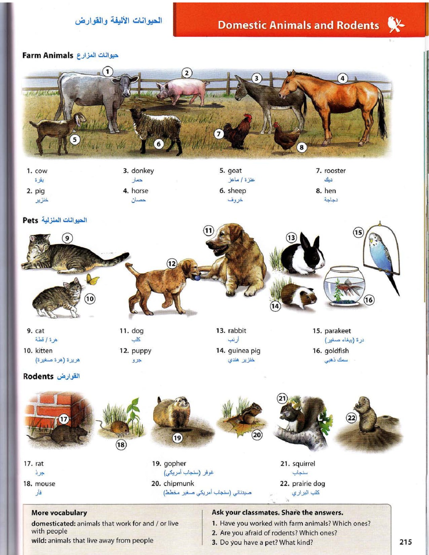 Oxford English Picture Dictionary Enlish- Arabic - Ismail Rao - Page ...