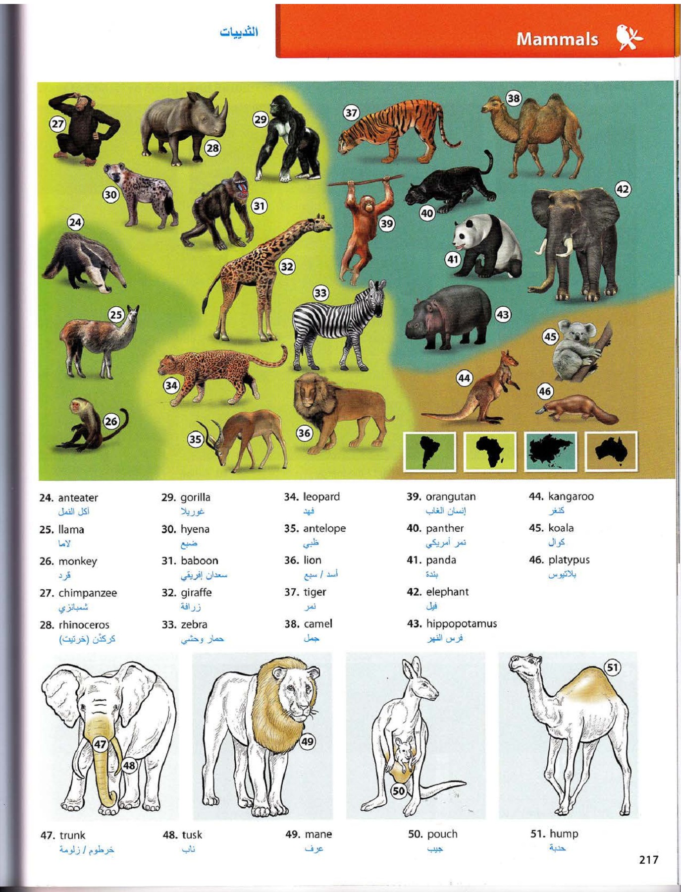 Oxford English Picture Dictionary Enlish- Arabic - Ismail Rao - Page ...