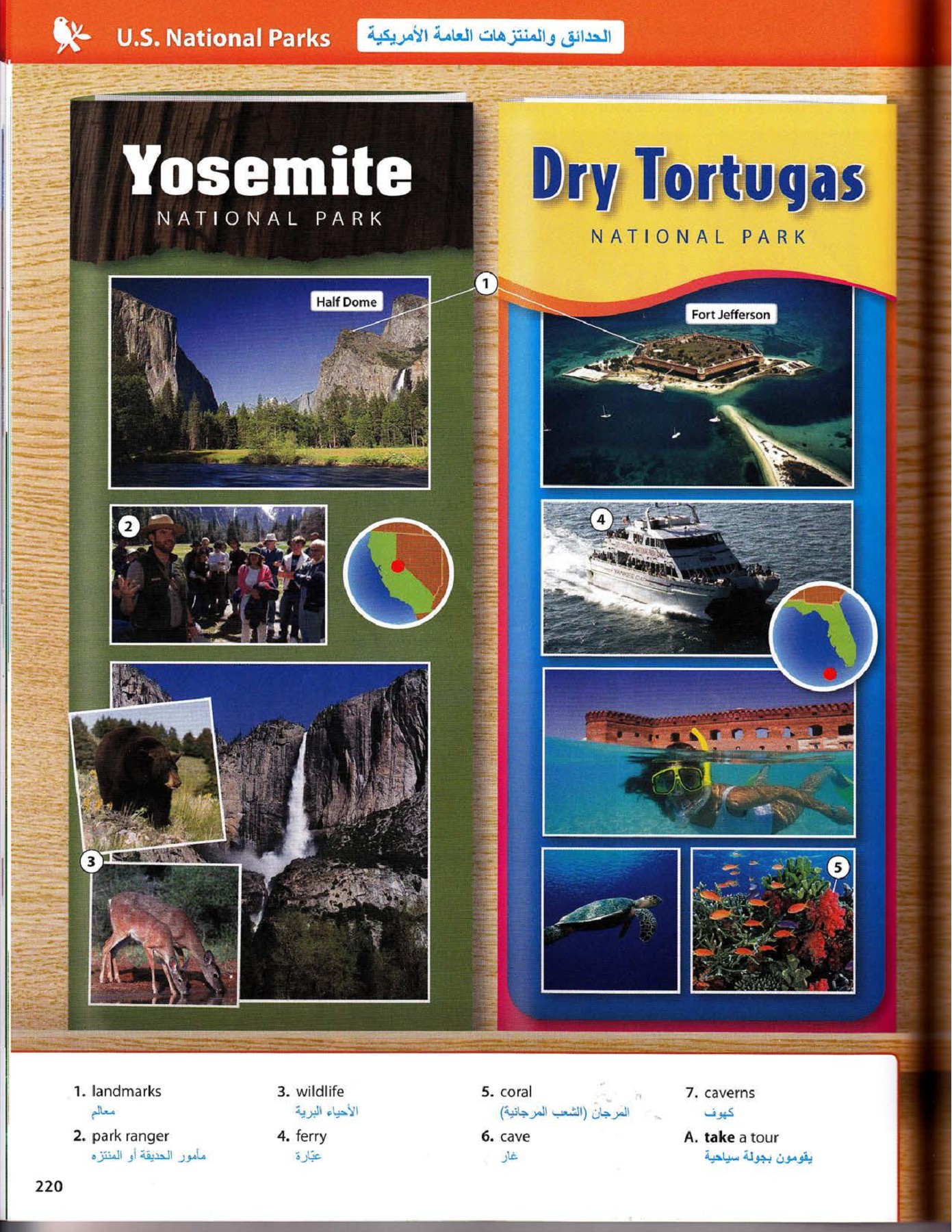 Oxford English Picture Dictionary Enlish- Arabic - Ismail Rao - Page ...