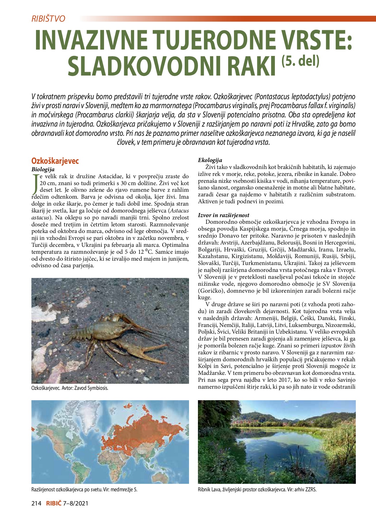 Ribic-7-8-2021 - bzagozen - Strani 14 | Obračanje strani na spletu PDF ...