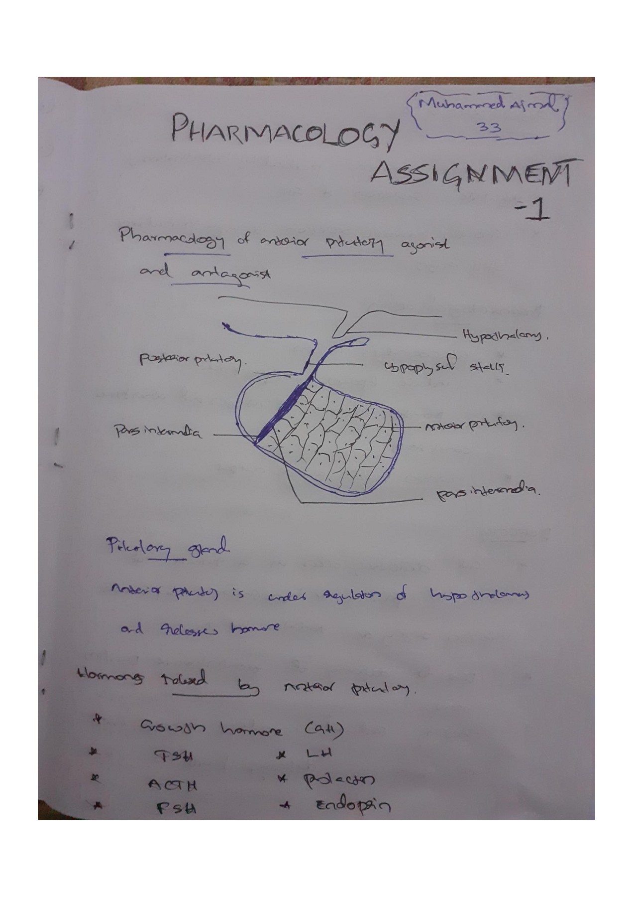 Muhammed Ajmal P assignment - ajmalmuhammed43 - Page 1 - 8 | Flip PDF Online | PubHTML5