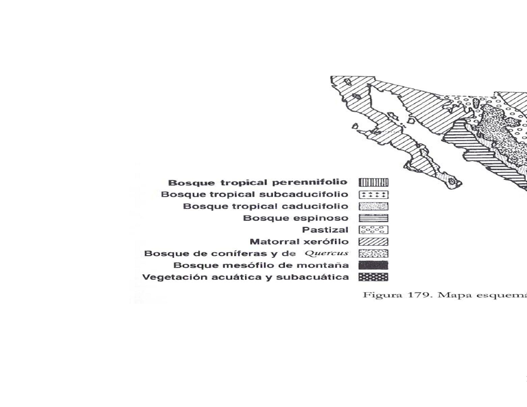 VEGETACION_DE_MEXICO_Jerzy_Rzedowski - virginia.corona - Página 172 ...
