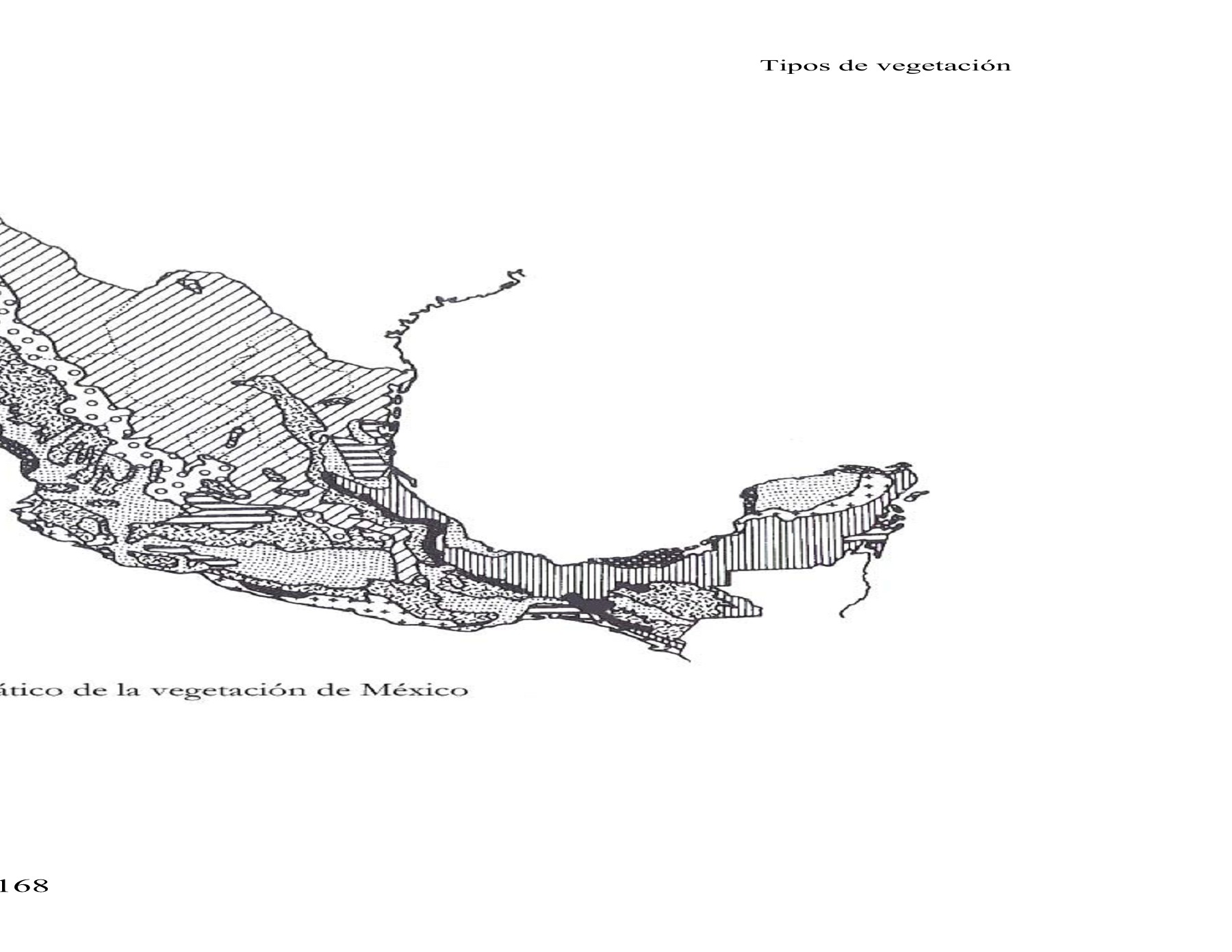 VEGETACION_DE_MEXICO_Jerzy_Rzedowski - virginia.corona - Página 173 ...