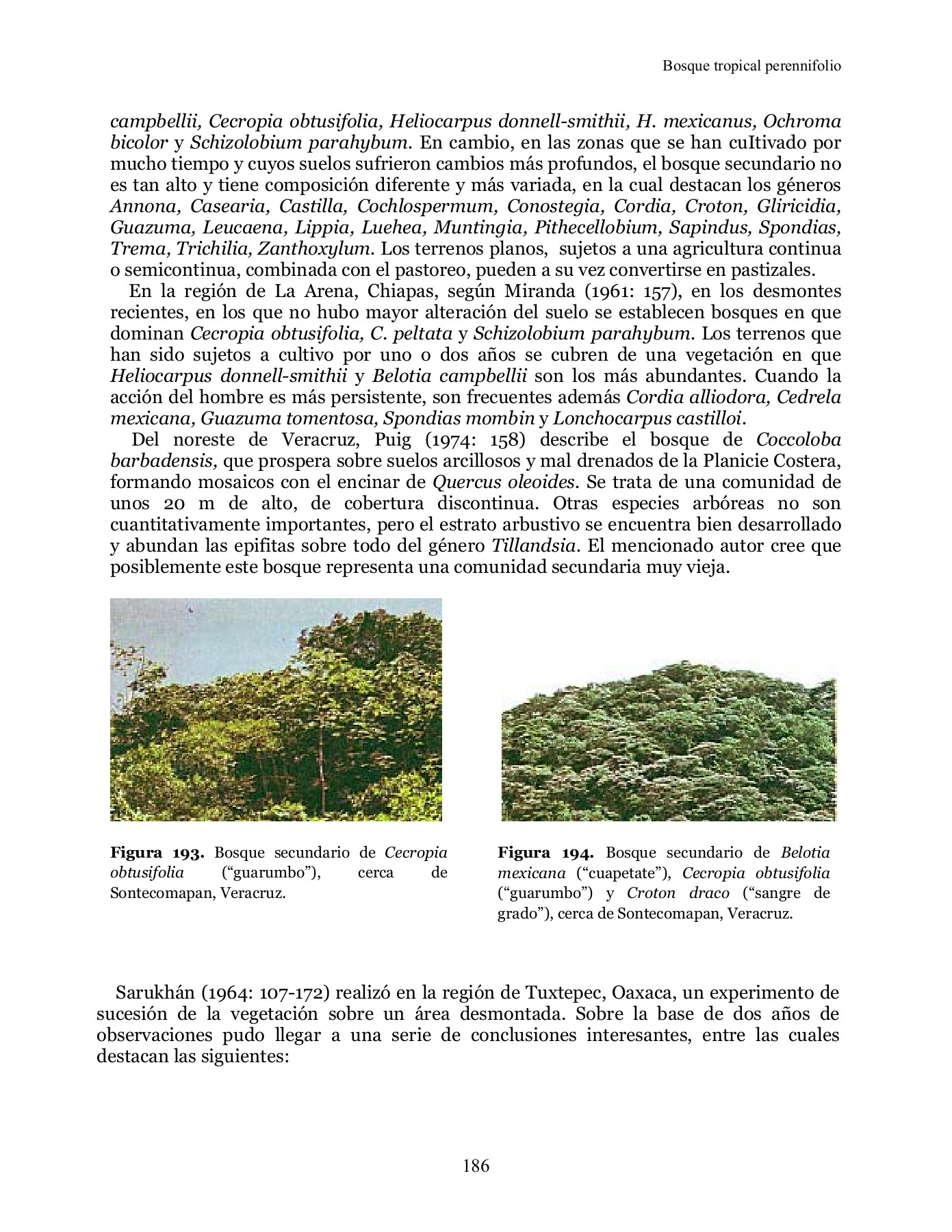 VEGETACION_DE_MEXICO_Jerzy_Rzedowski - virginia.corona - Página 191 ...