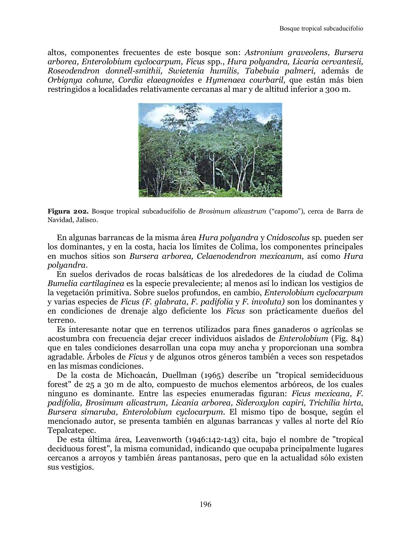 VEGETACION_DE_MEXICO_Jerzy_Rzedowski - virginia.corona - Página 201 ...