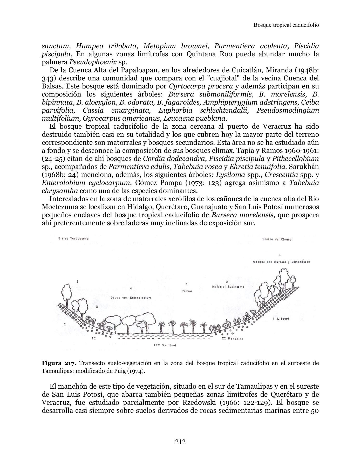VEGETACION_DE_MEXICO_Jerzy_Rzedowski - virginia.corona - Página 217 ...