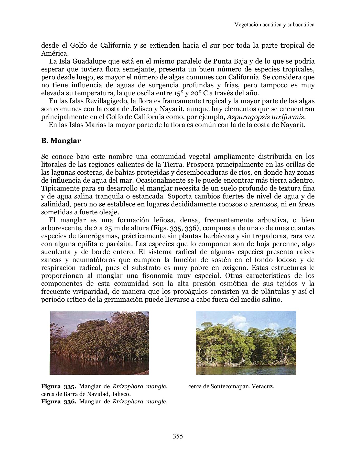 VEGETACION_DE_MEXICO_Jerzy_Rzedowski - virginia.corona - Página 351 ...