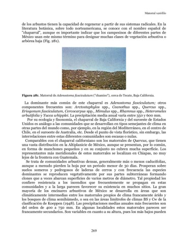 VEGETACION_DE_MEXICO_Jerzy_Rzedowski - virginia.corona - Página 274 ...