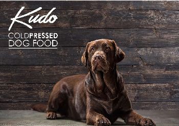 Catalogo KUDO PET FOOD