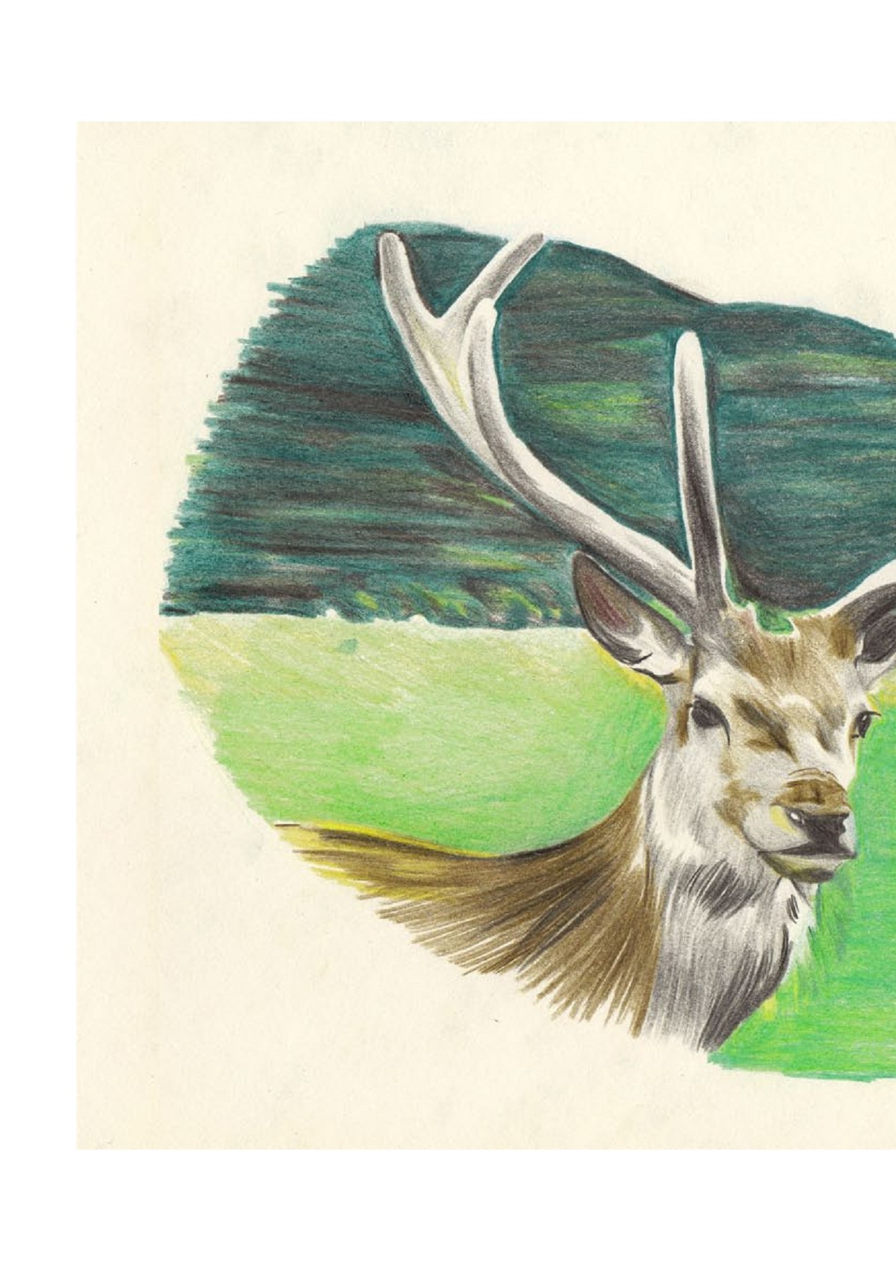 GizMag_Issue7 - Emerson Rangel - Page 72 | Flip PDF Online | PubHTML5