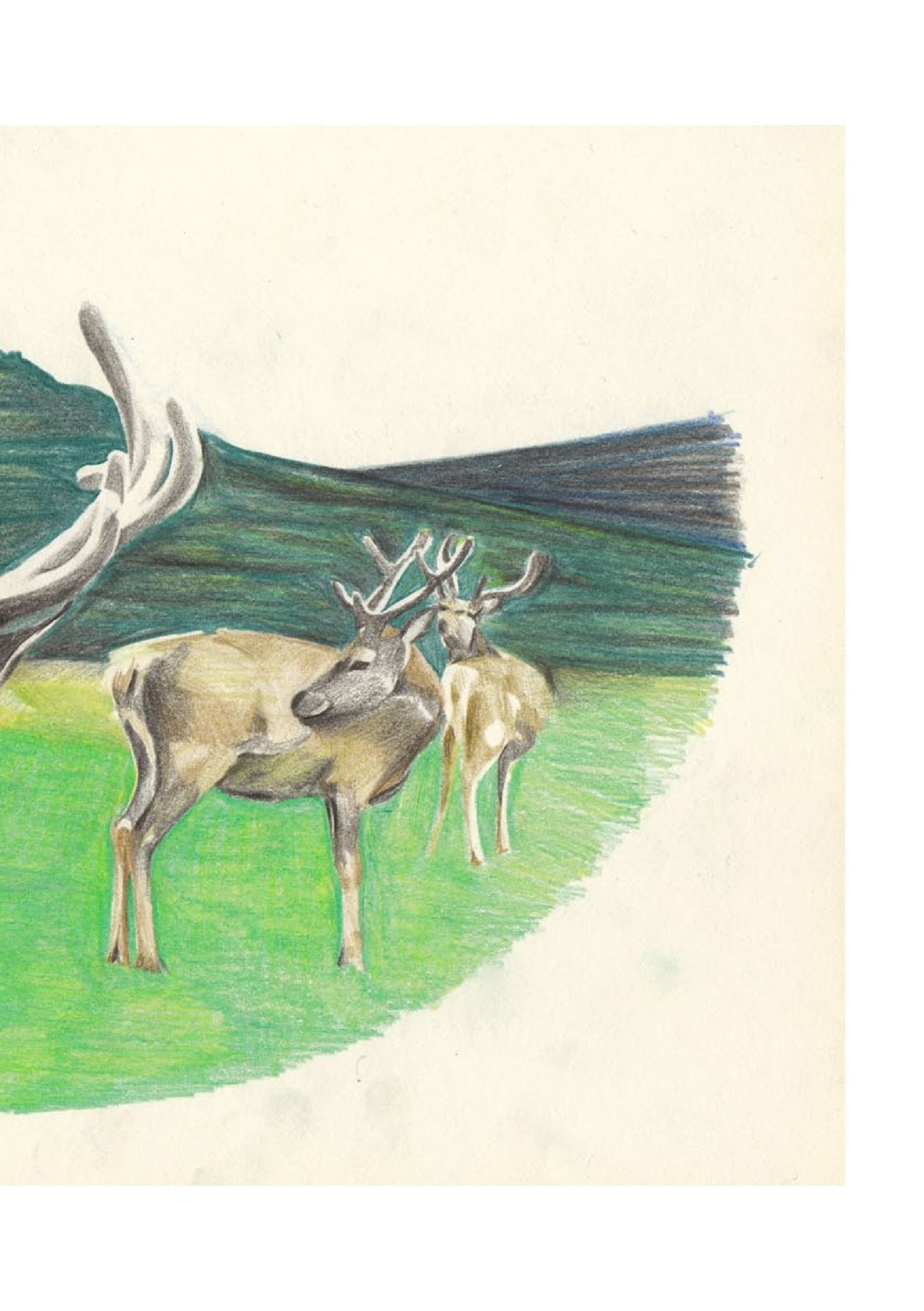 GizMag_Issue7 - Emerson Rangel - Page 73 | Flip PDF Online | PubHTML5