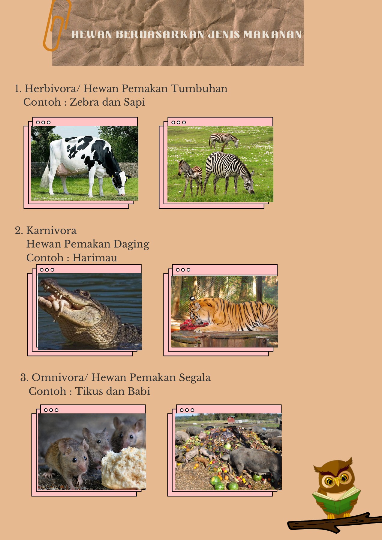 Lembar Kerja Peserta Didik Kelas 5 Tema 5 Komponen Ekosistem Subtema 1 Pembelajaran 1 ...