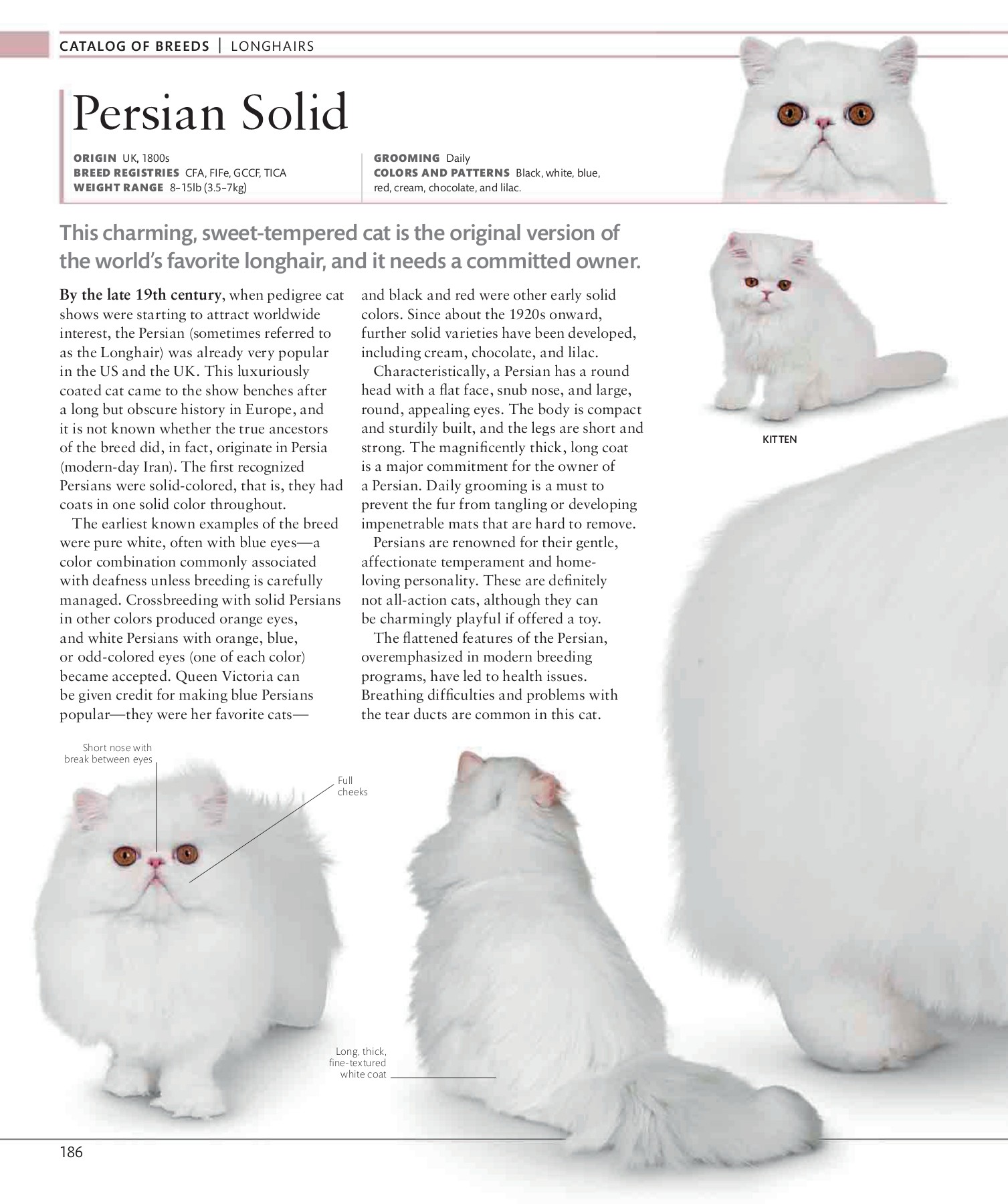The cat encyclopedia _ the definitive visual guide - Setiowati - Page ...