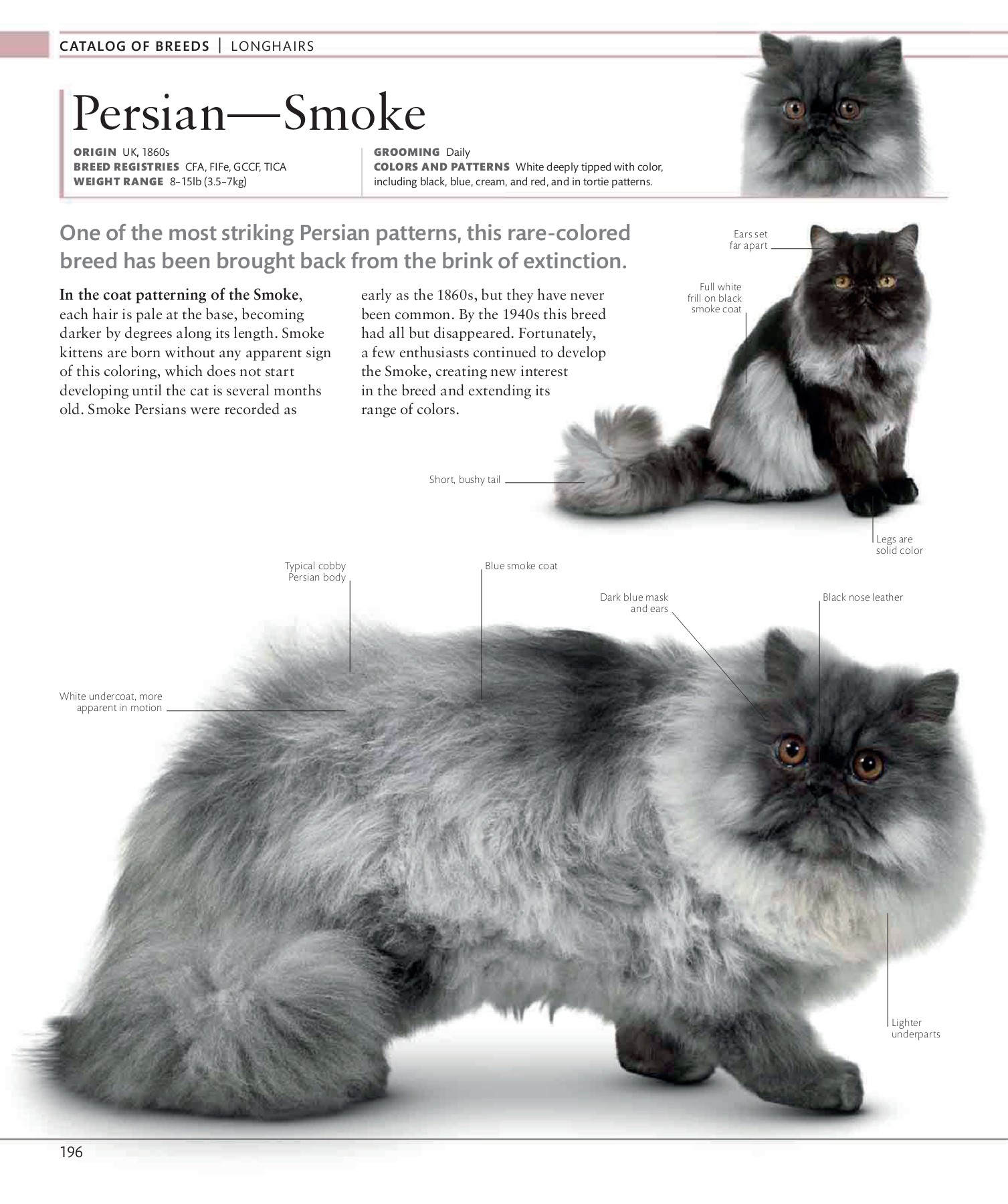 The cat encyclopedia _ the definitive visual guide - Setiowati - Page ...
