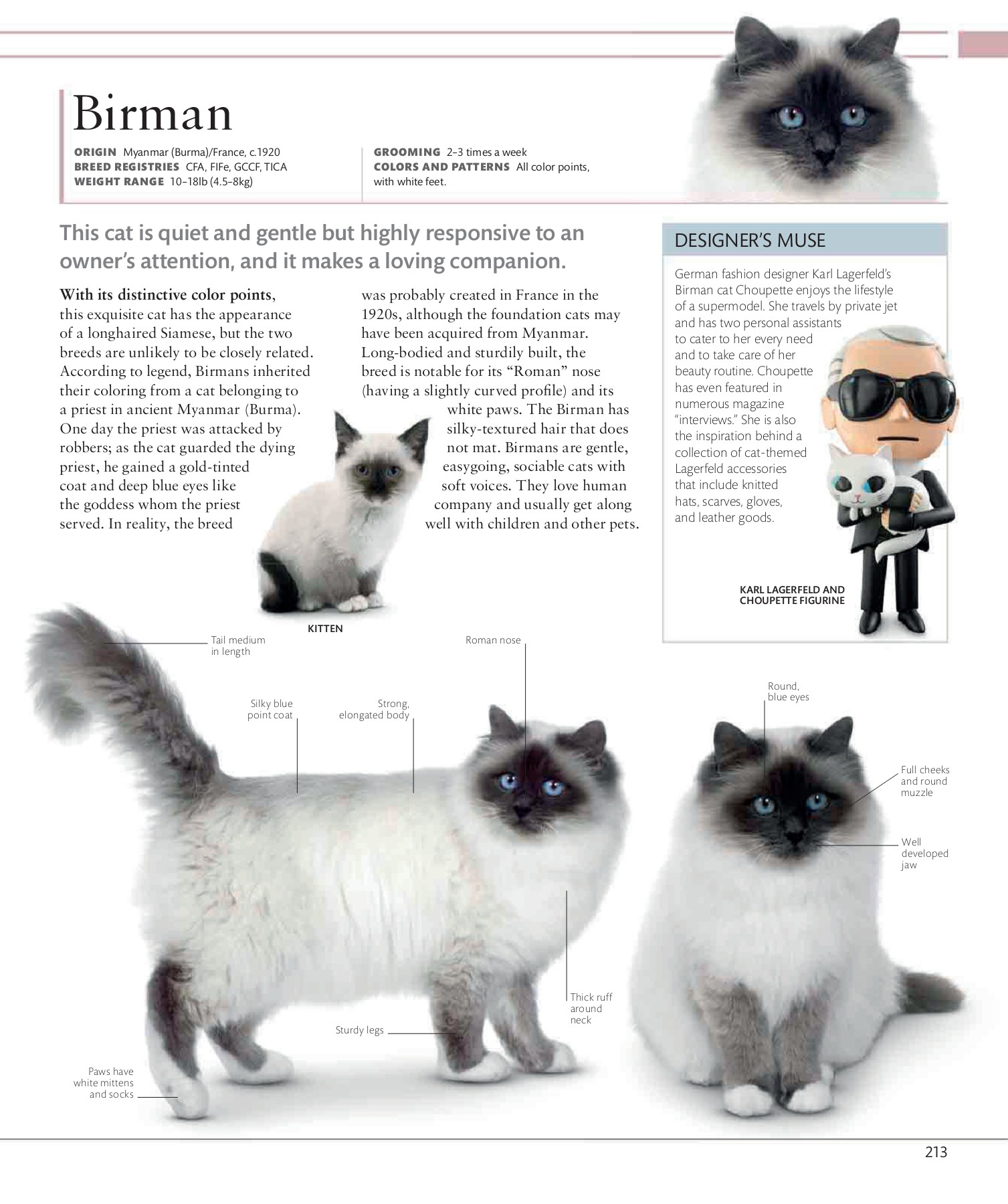 The cat encyclopedia _ the definitive visual guide - Setiowati - Page ...