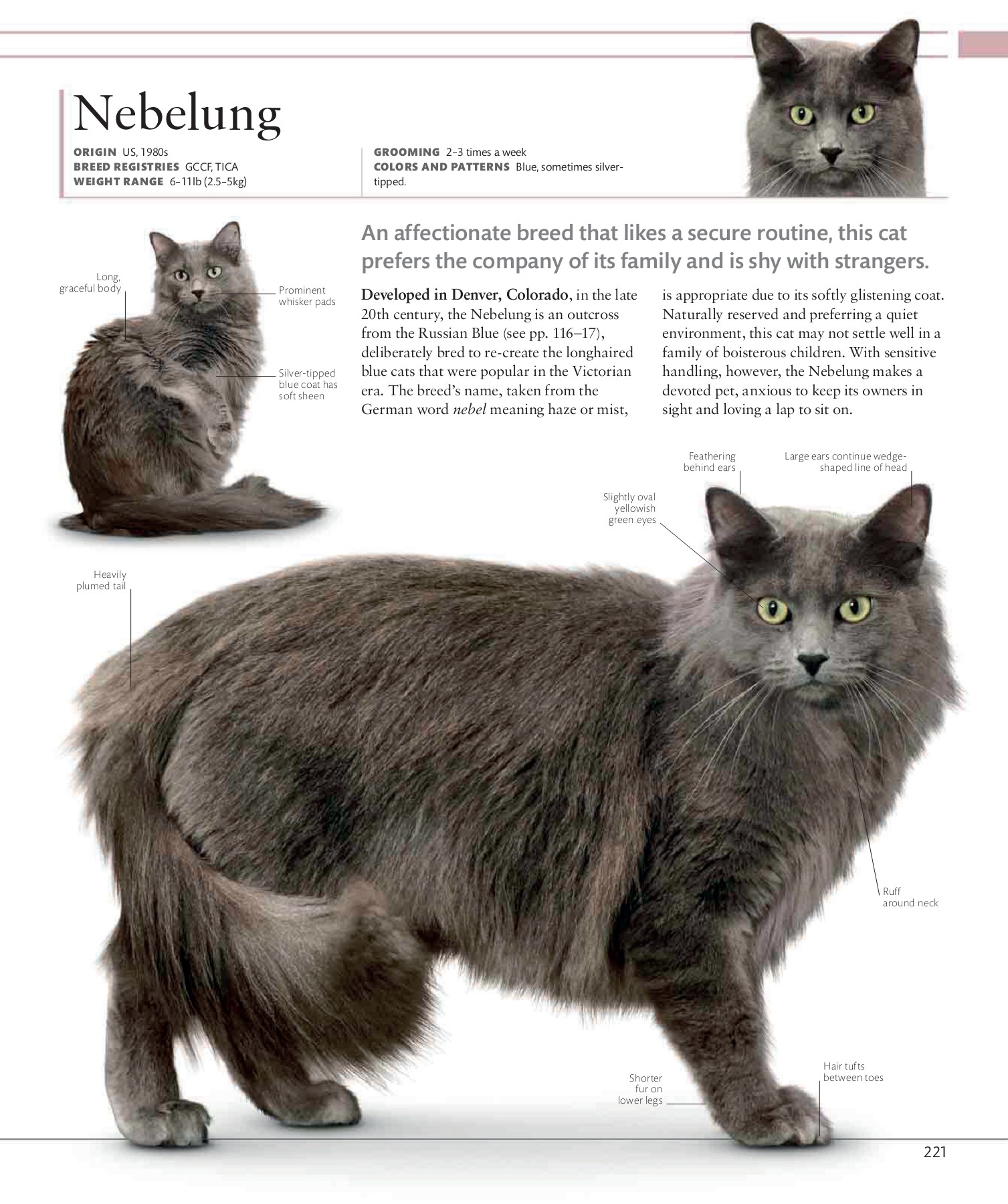 The cat encyclopedia _ the definitive visual guide - Setiowati - Page ...
