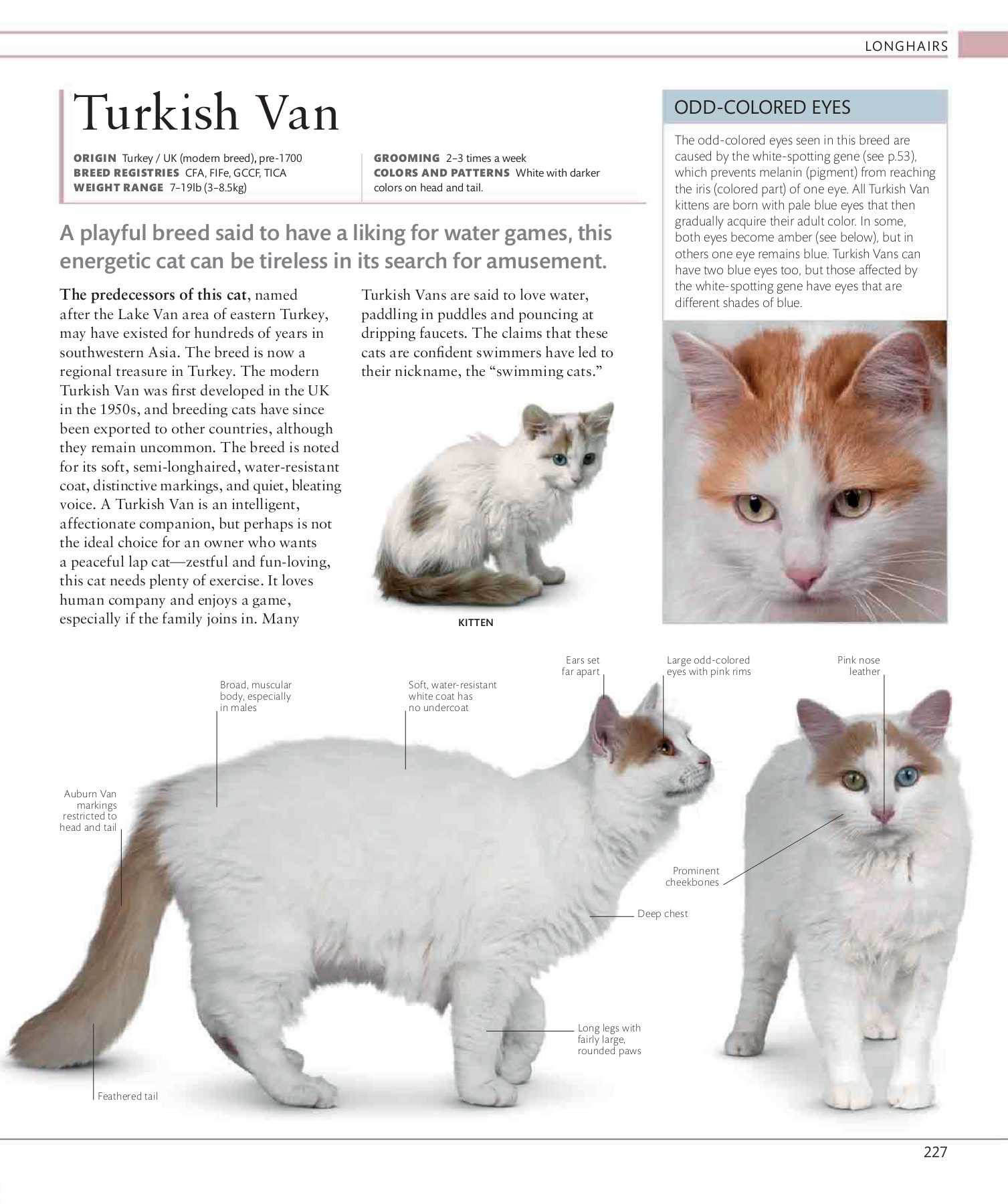 The cat encyclopedia _ the definitive visual guide - Setiowati - Page ...