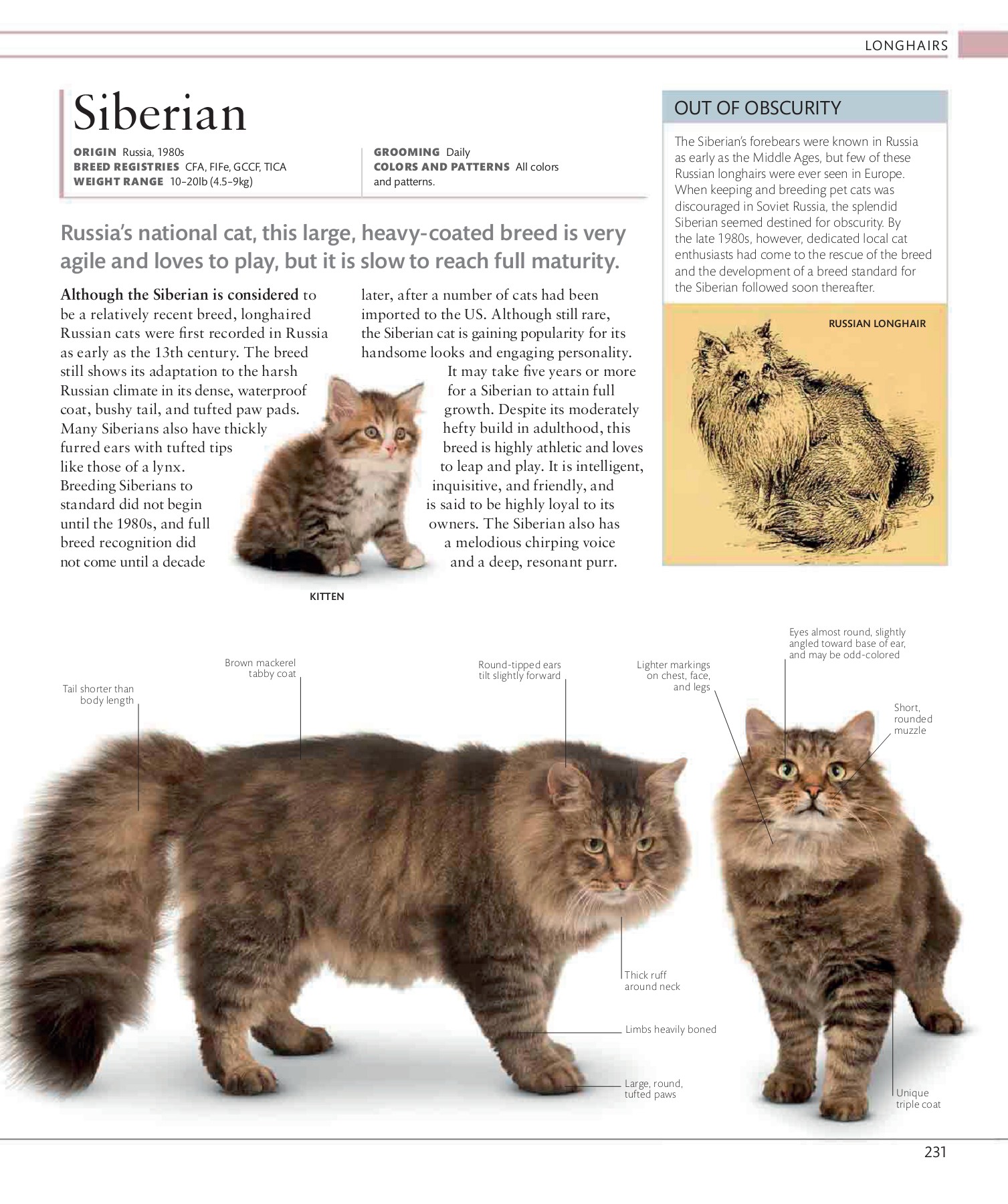 The cat encyclopedia _ the definitive visual guide - Setiowati - Page ...