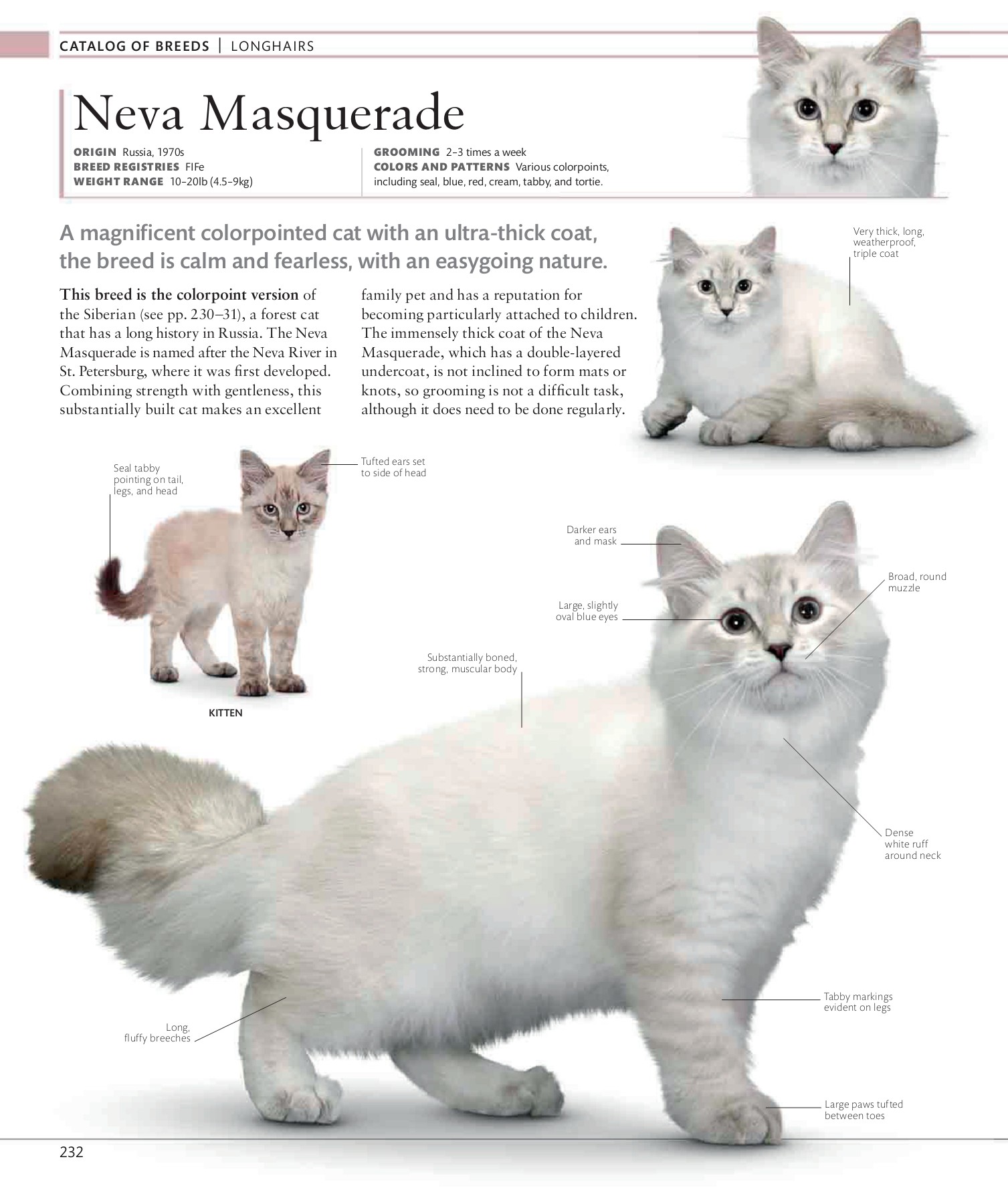 The cat encyclopedia _ the definitive visual guide - Setiowati - Page ...