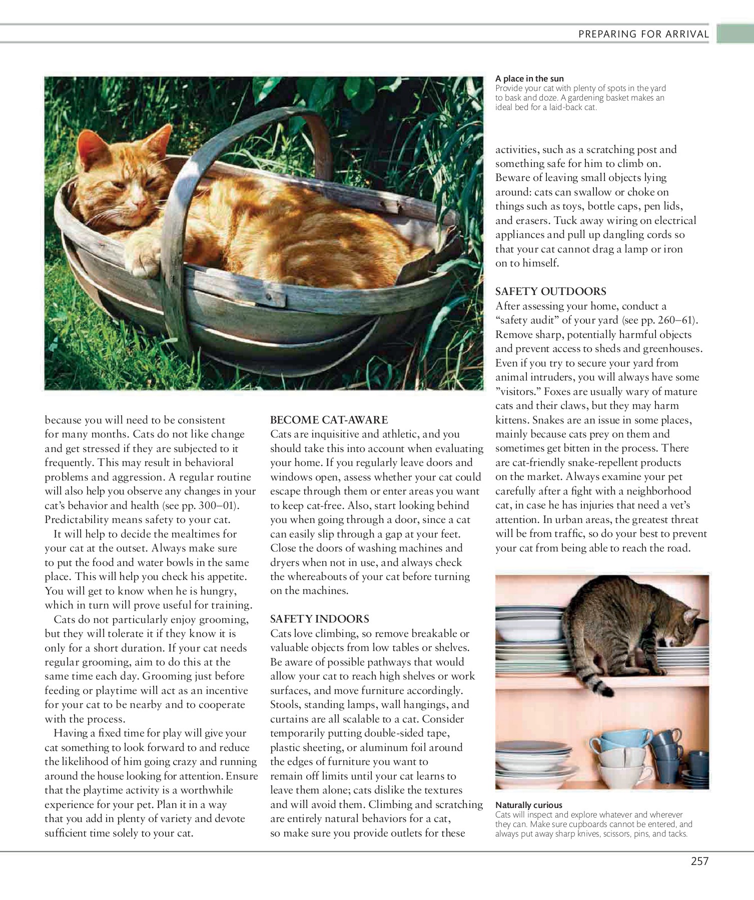 The cat encyclopedia _ the definitive visual guide - Setiowati - Page ...