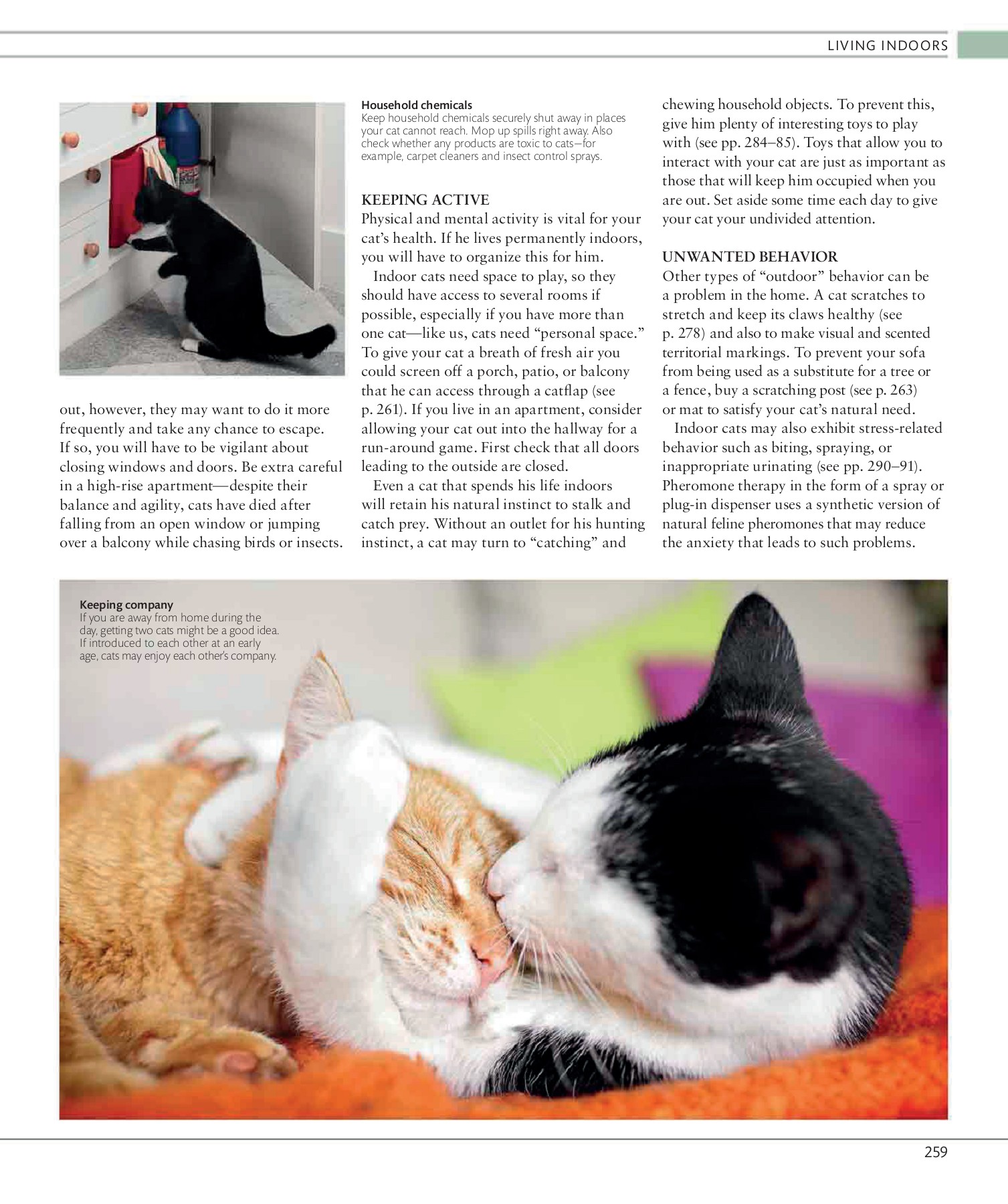 The cat encyclopedia _ the definitive visual guide - Setiowati - Page ...