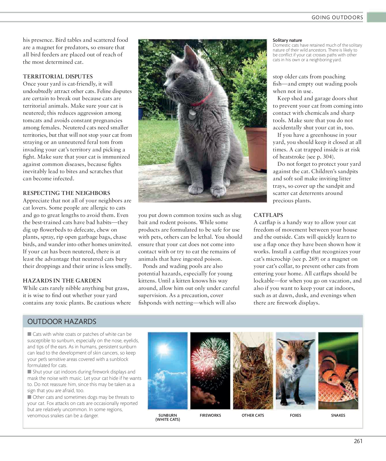 The cat encyclopedia _ the definitive visual guide - Setiowati - Page ...