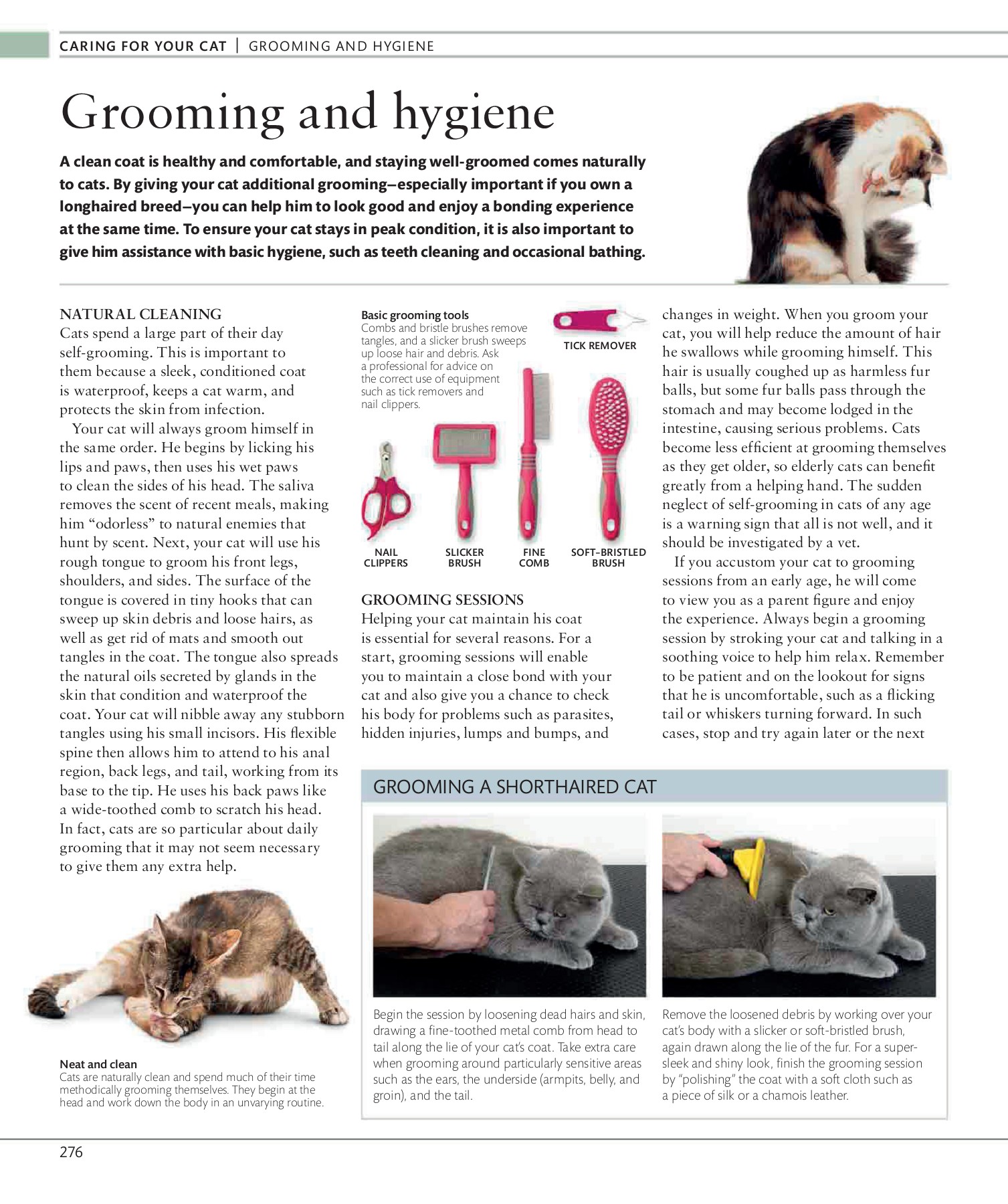 The cat encyclopedia _ the definitive visual guide - Setiowati - Page ...