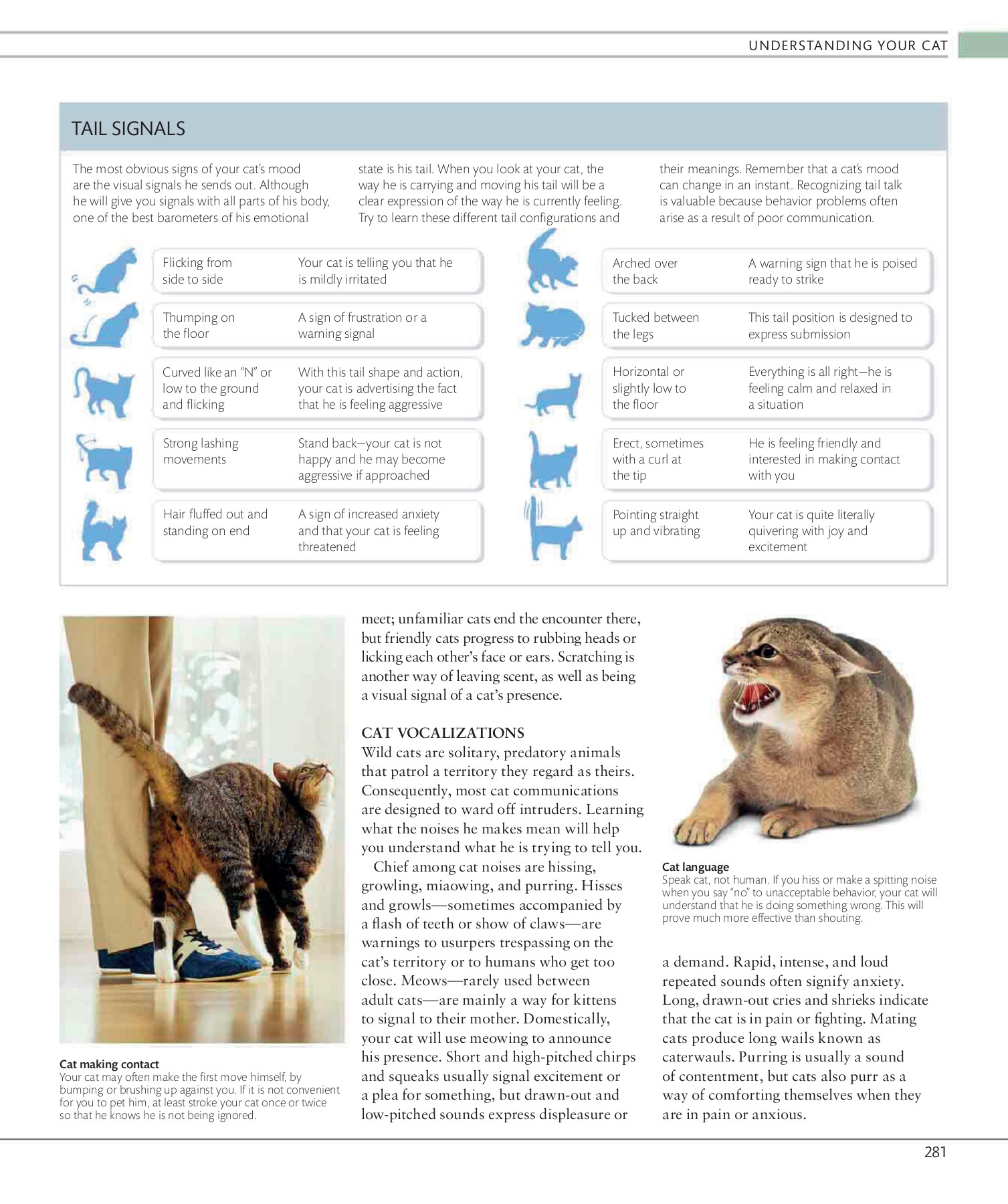 The cat encyclopedia _ the definitive visual guide - Setiowati - Page ...