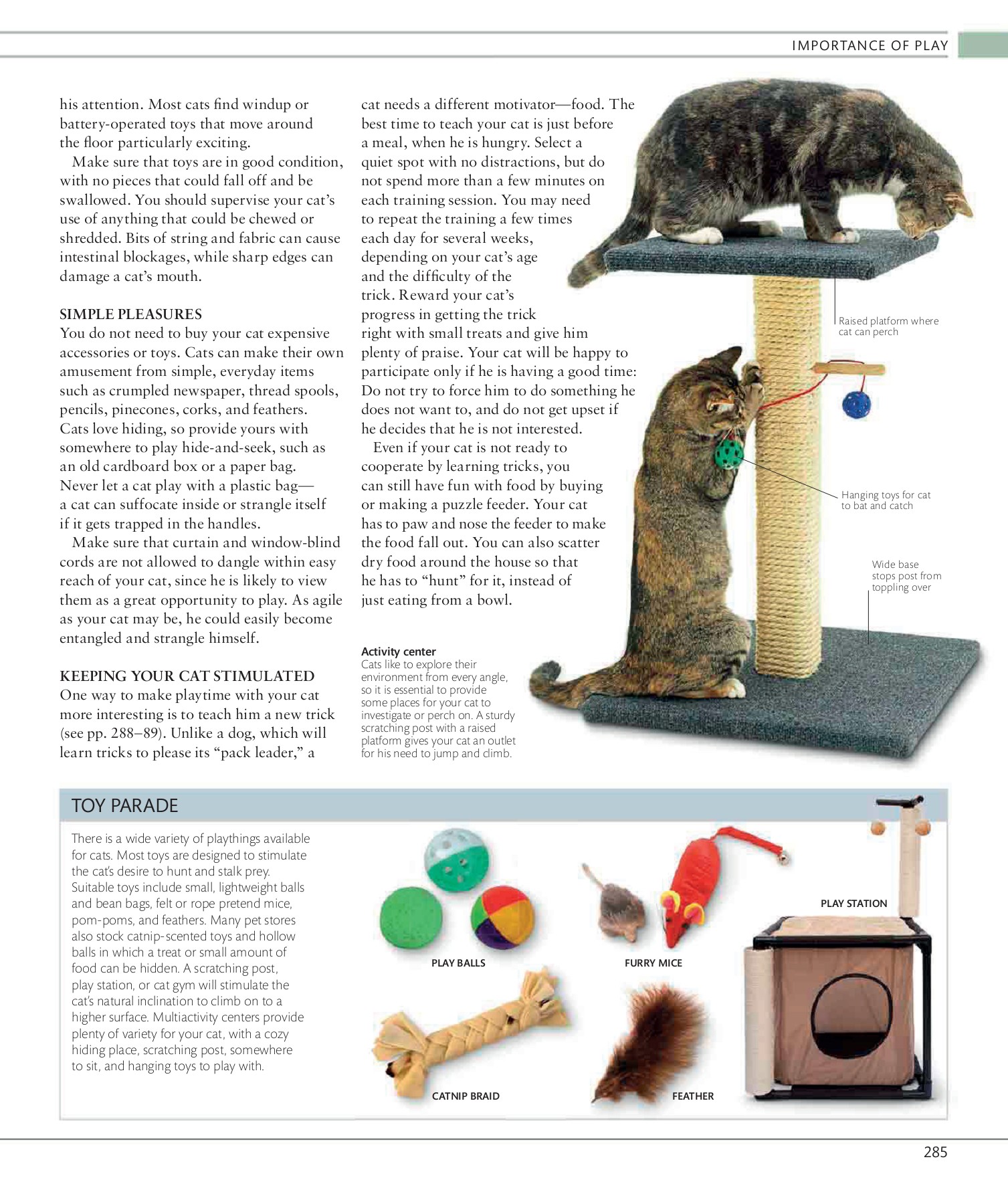The cat encyclopedia _ the definitive visual guide - Setiowati - Page ...
