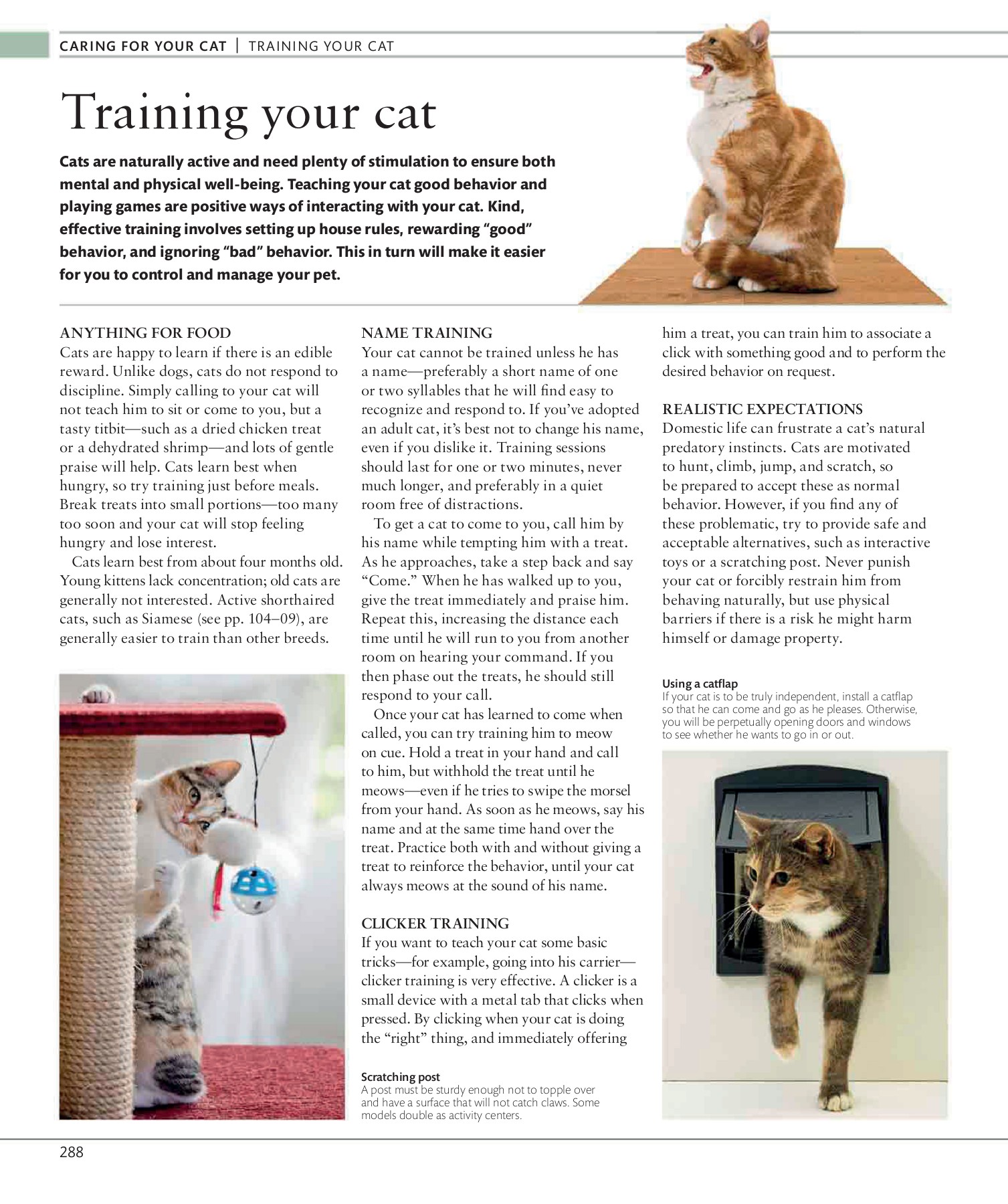 The cat encyclopedia _ the definitive visual guide - Setiowati - Page ...