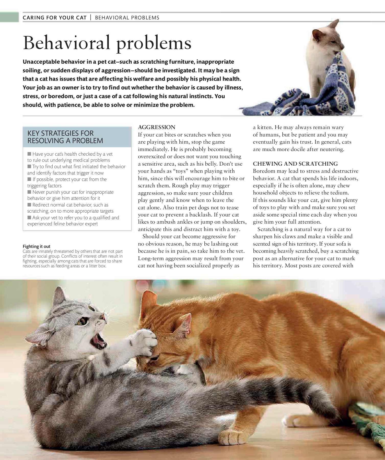 The cat encyclopedia _ the definitive visual guide - Setiowati - Page ...