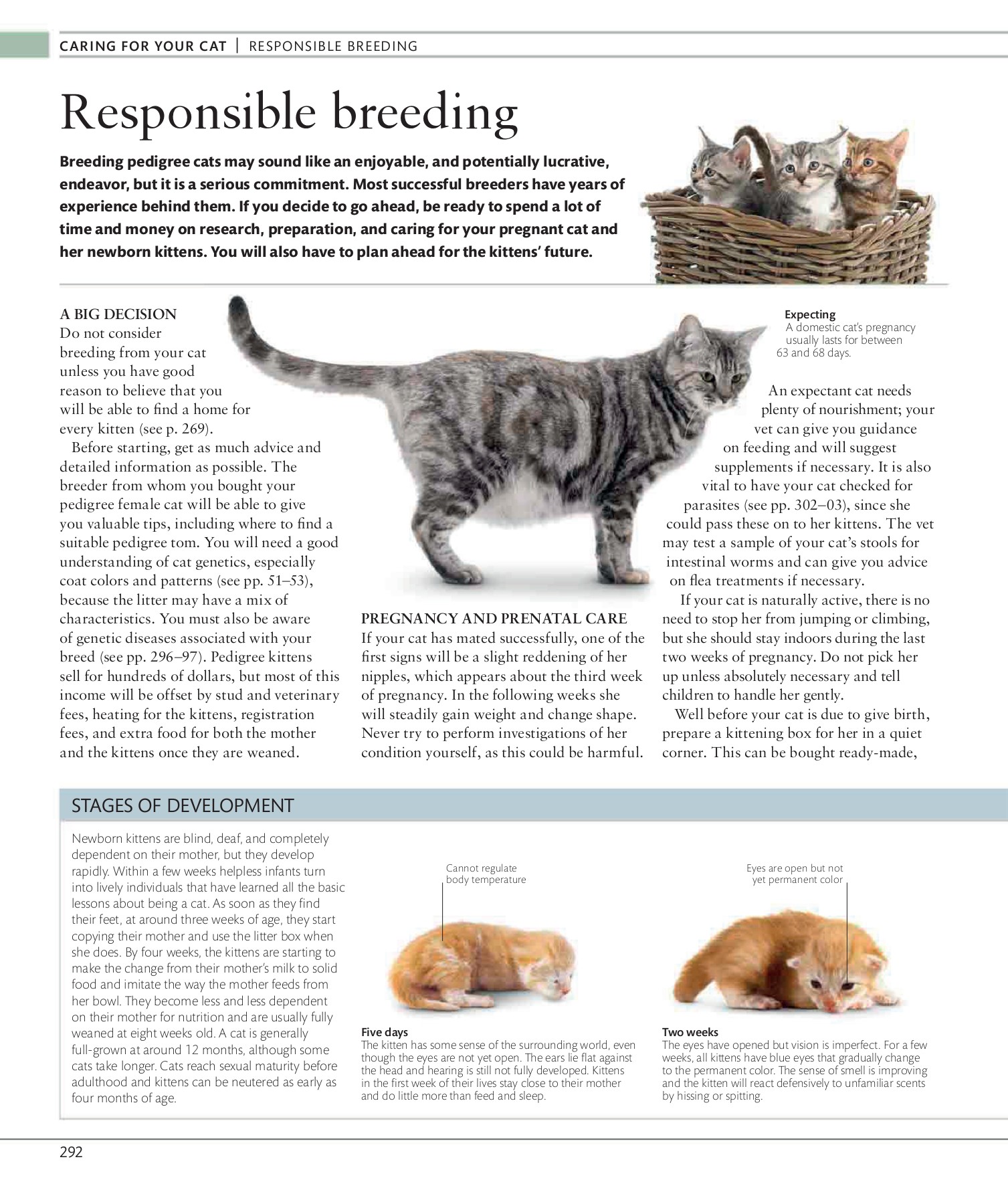 The cat encyclopedia _ the definitive visual guide - Setiowati - Page ...